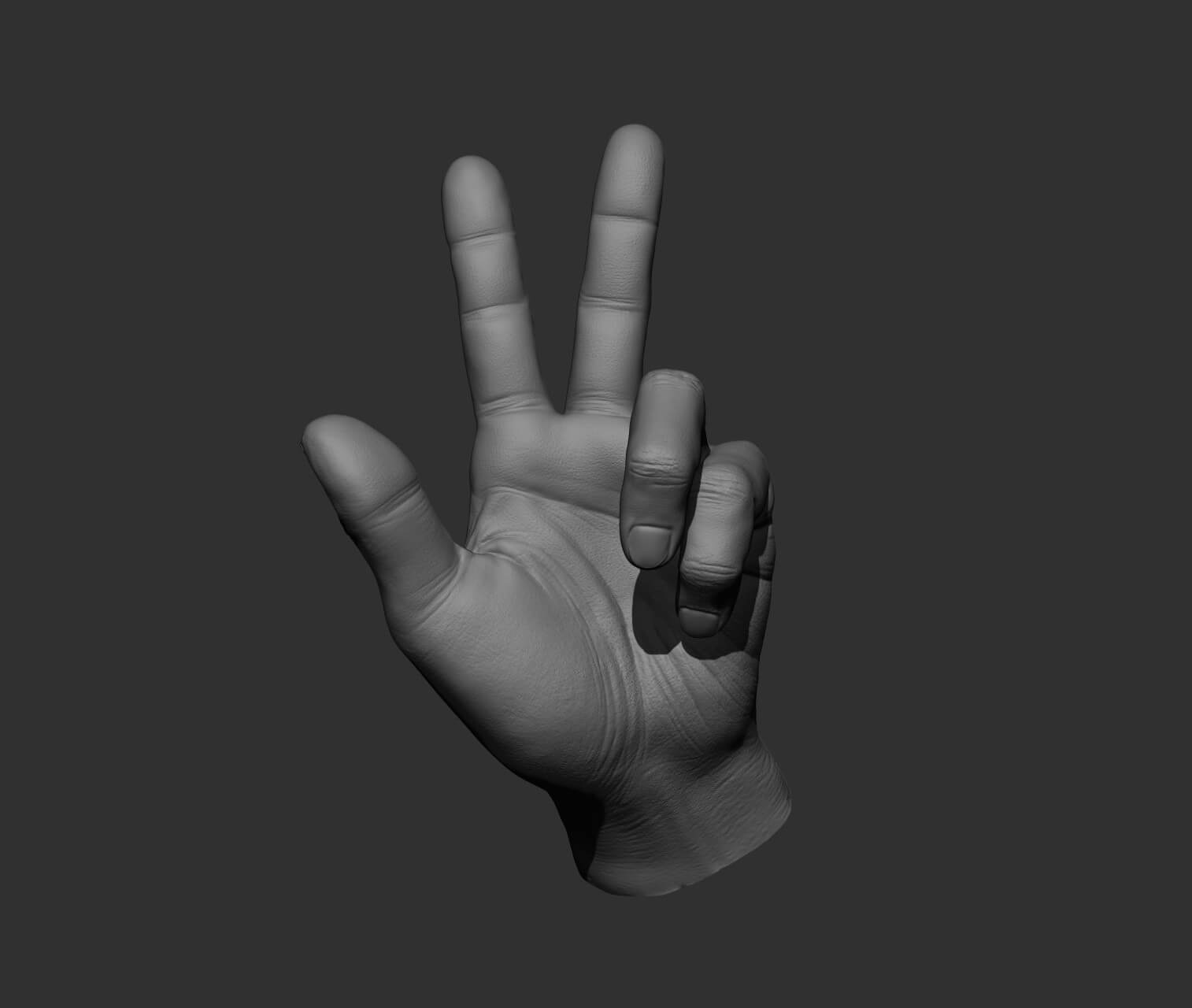 3d Hand Model