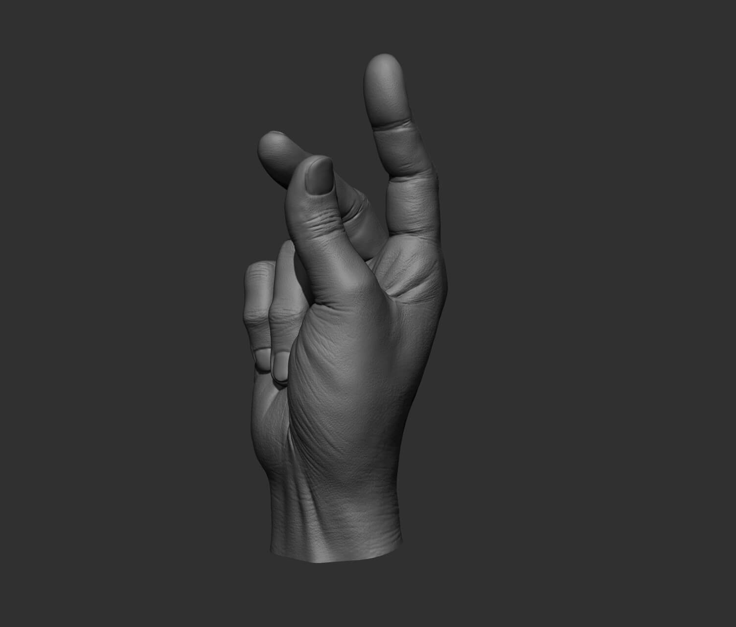 10 Male Hand Poses - 3D Model by Daniartist