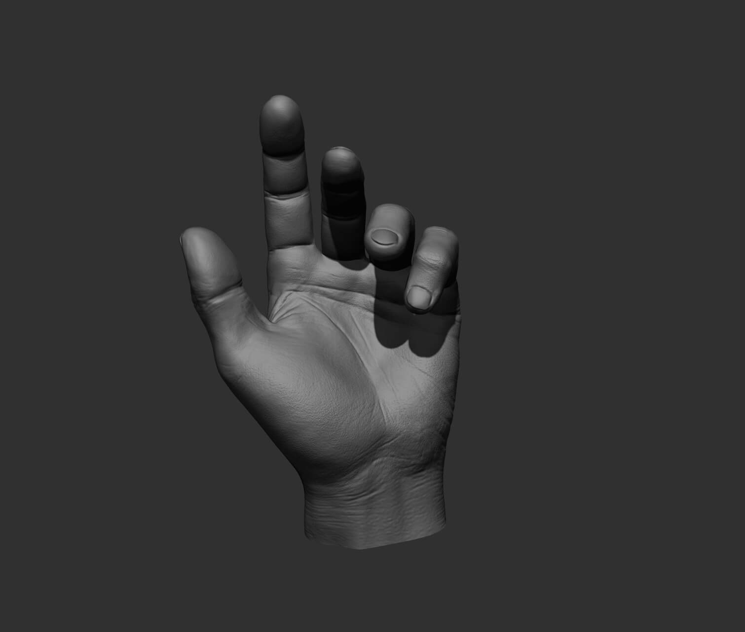 10 Male Hand Poses - 3D Model by Daniartist