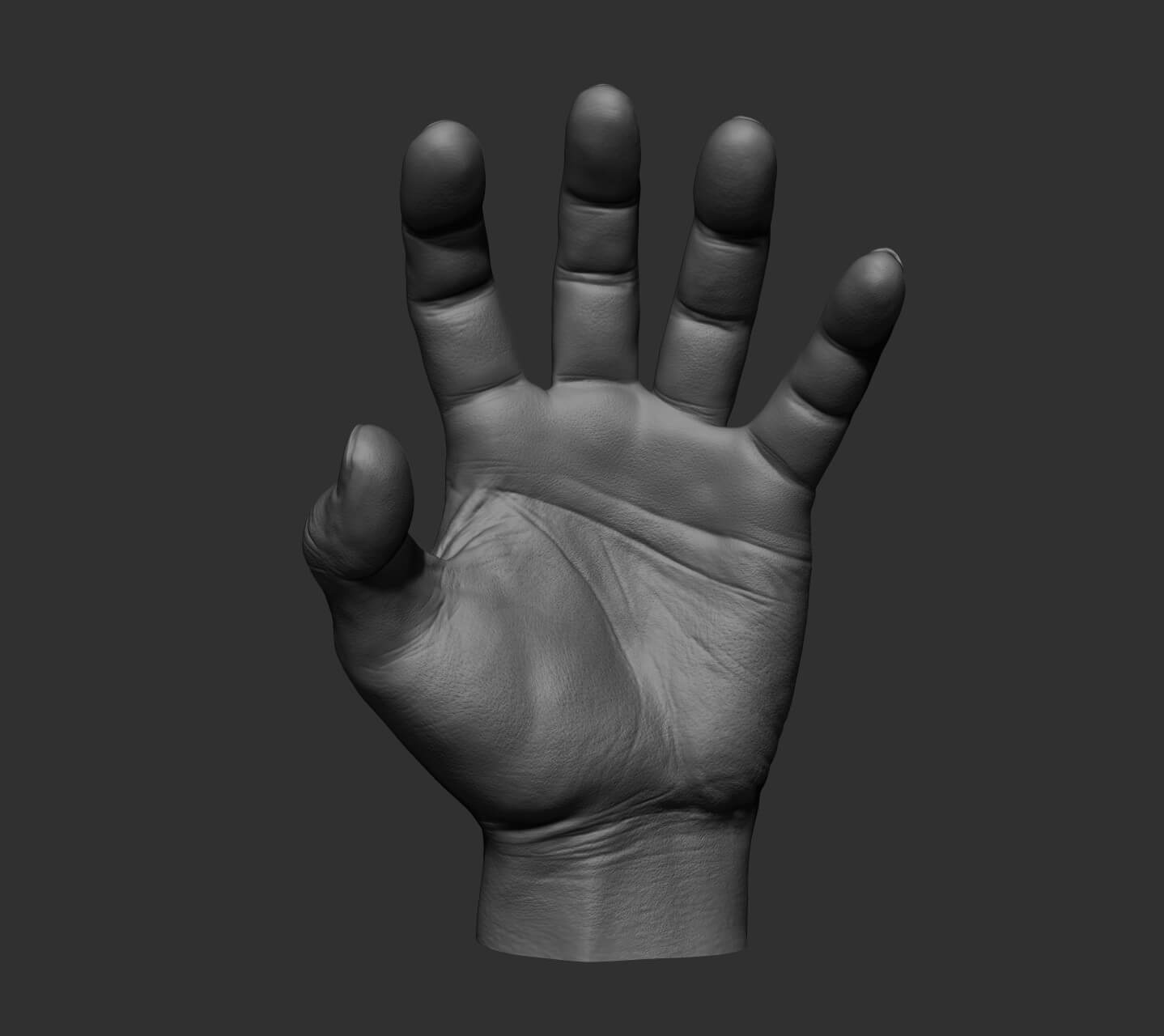 10 Male Hand Poses - 3D Model by Daniartist