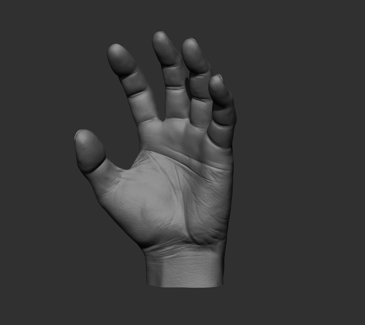 10 Male Hand Poses - 3D Model by Daniartist