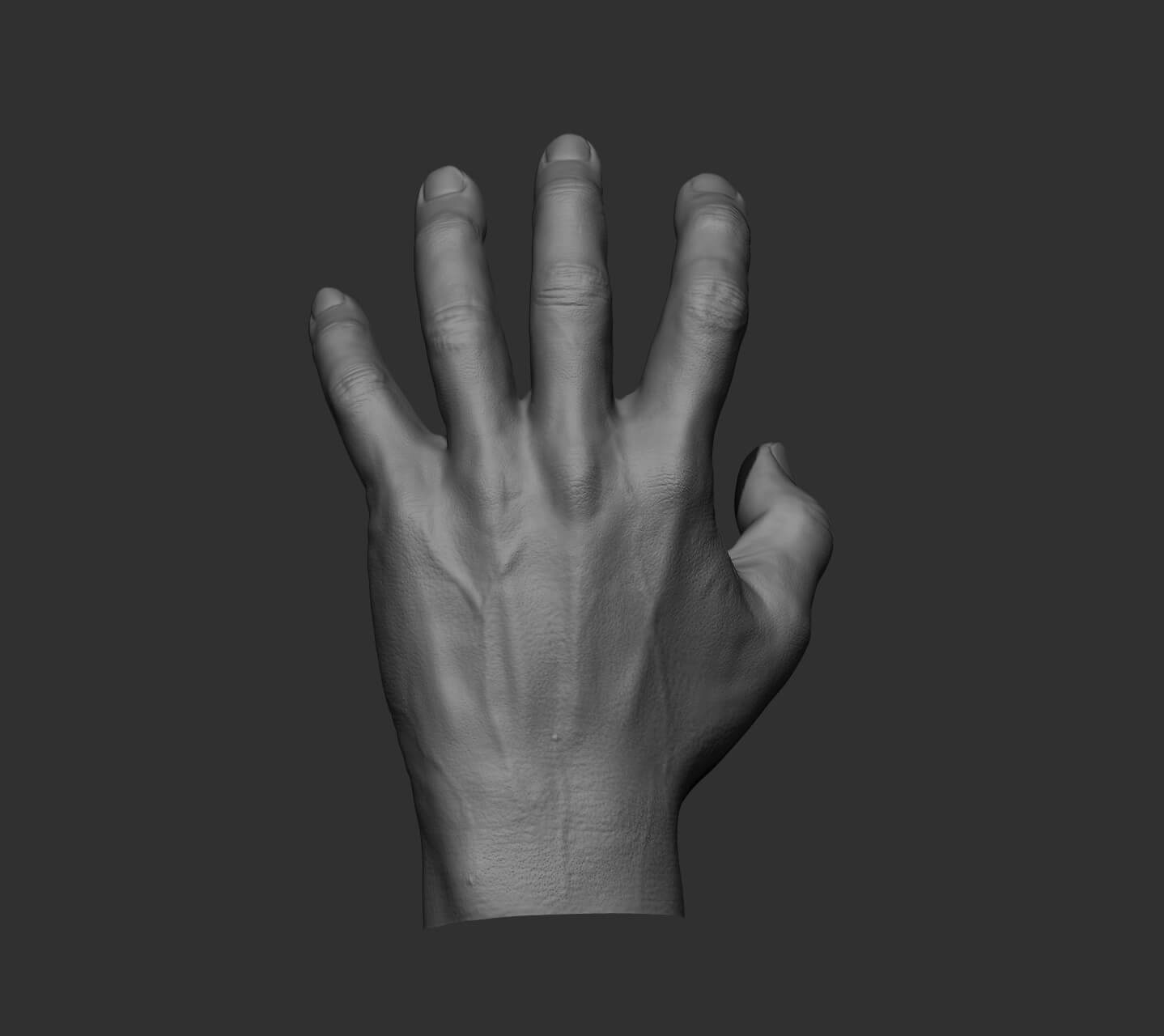 10 Male Hand Poses - 3D Model by Daniartist