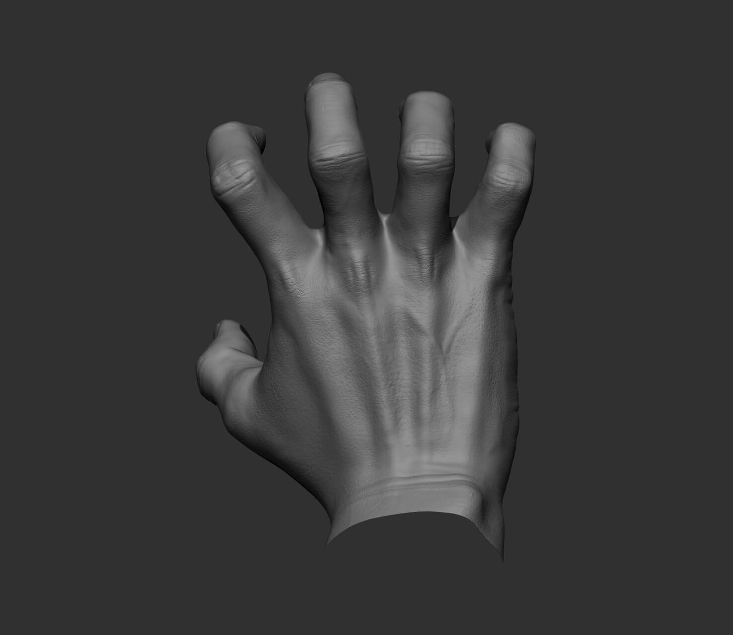 10 Male Hand Poses - 3D Model by Daniartist