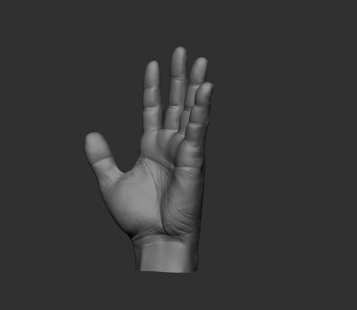 10 Male Hand Poses - 3D Model by Daniartist