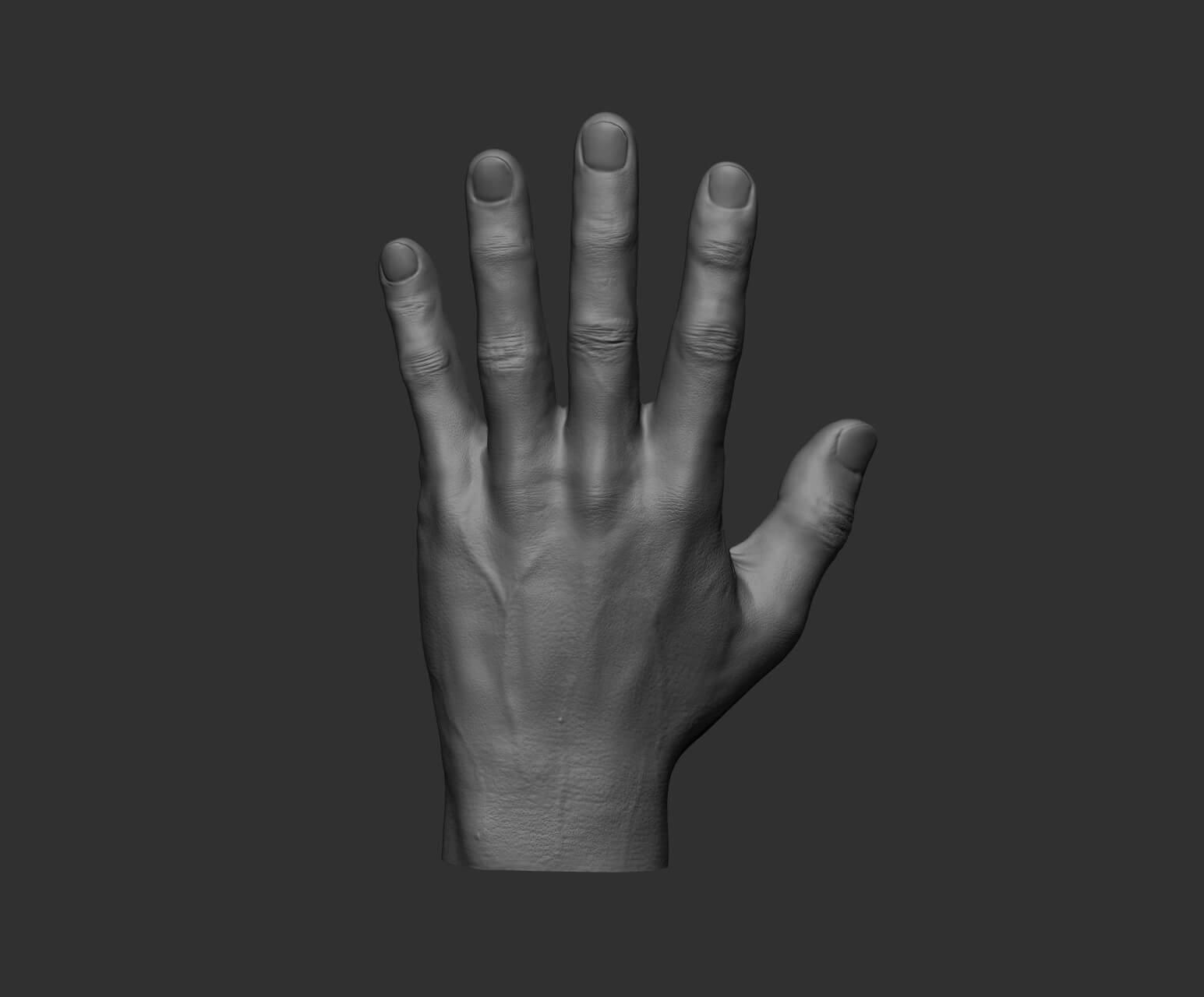 10 Male Hand Poses - 3D Model by Daniartist