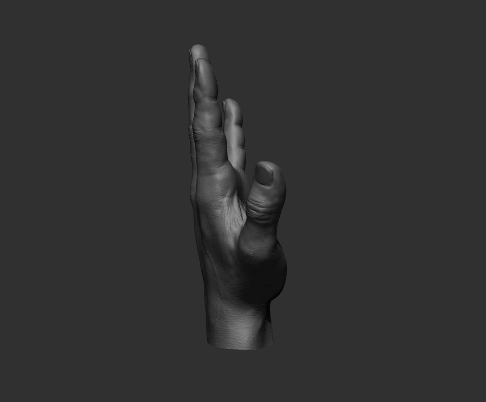 10 Male Hand Poses - 3D Model by Daniartist