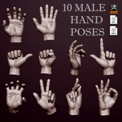 10 Male Hand Poses - 3D Model by Daniartist