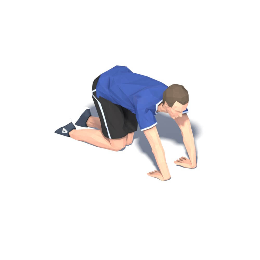 32 Stretch Animation Bundle - 3D Model by Daniel Mikulik