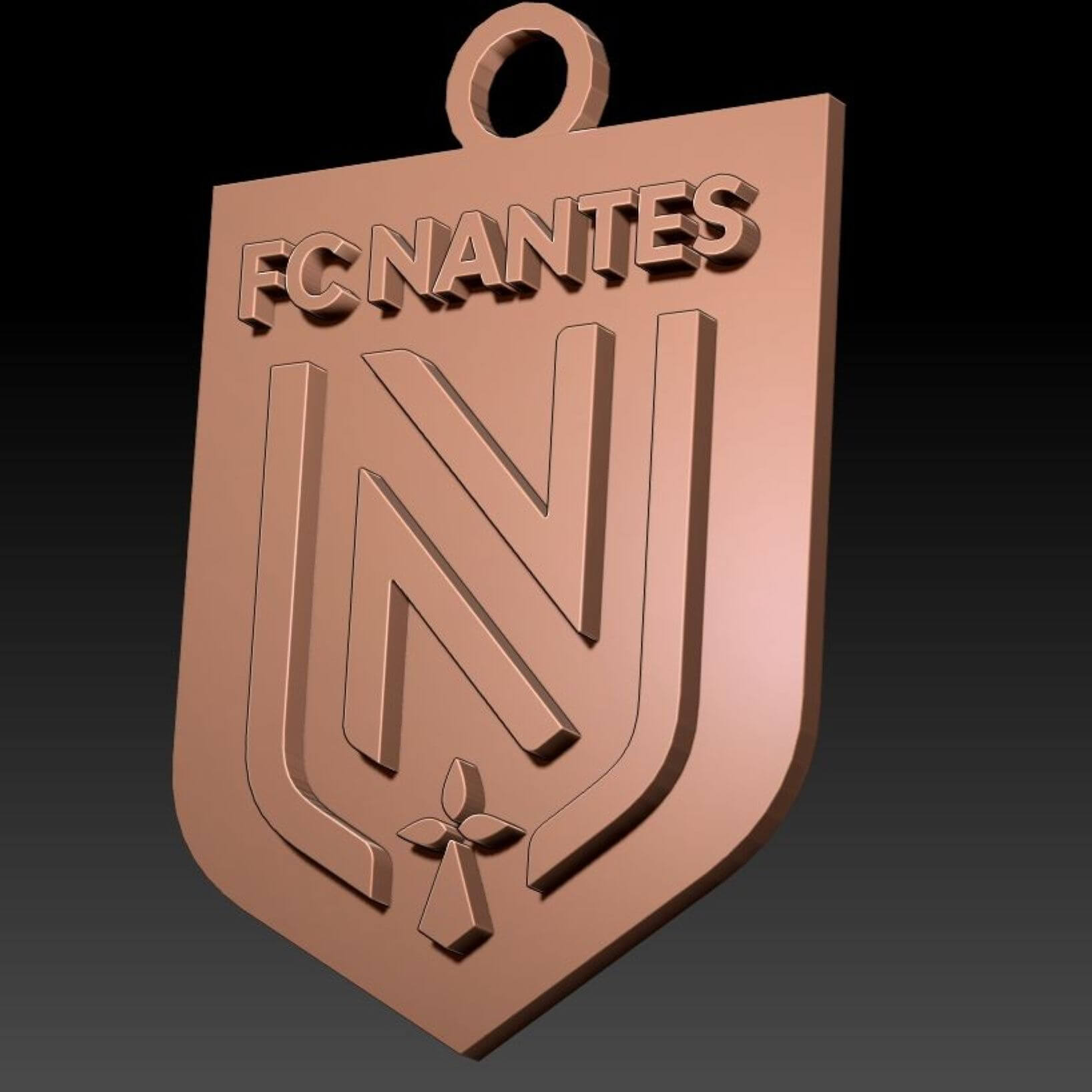 Ligue 1 Ffc Nantes Team Printable and Renderable - 3D Print Model by ...