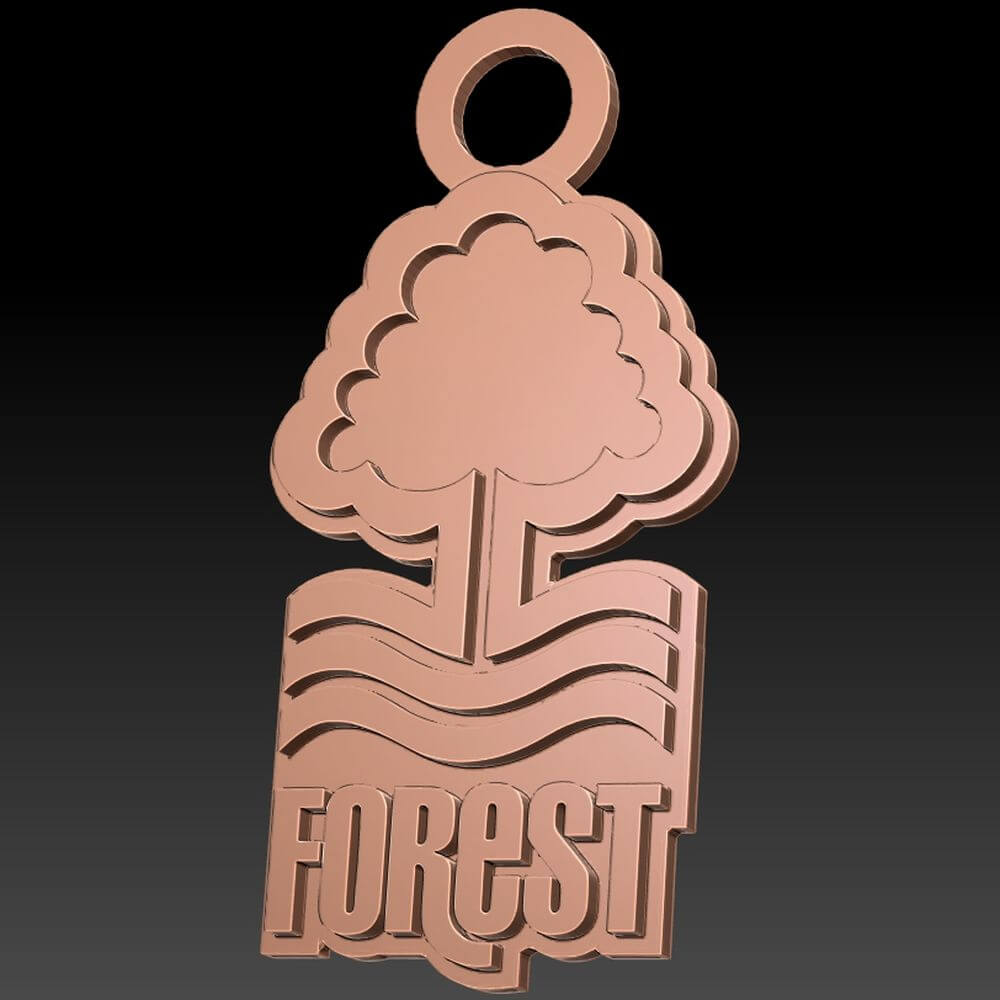 Nottingham Logo 14 Nottingham Forest Football Badge Images, Stock