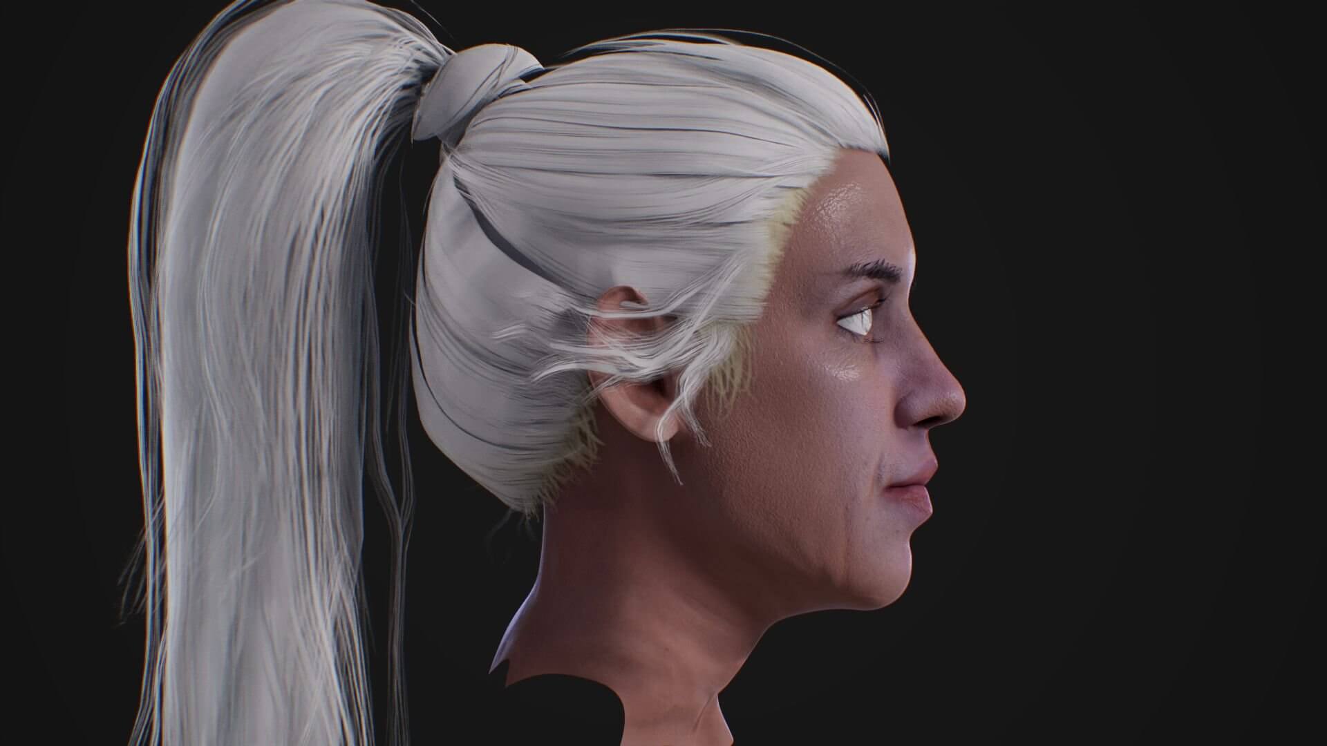 Realistic Female Head - 3D Model by danyelon