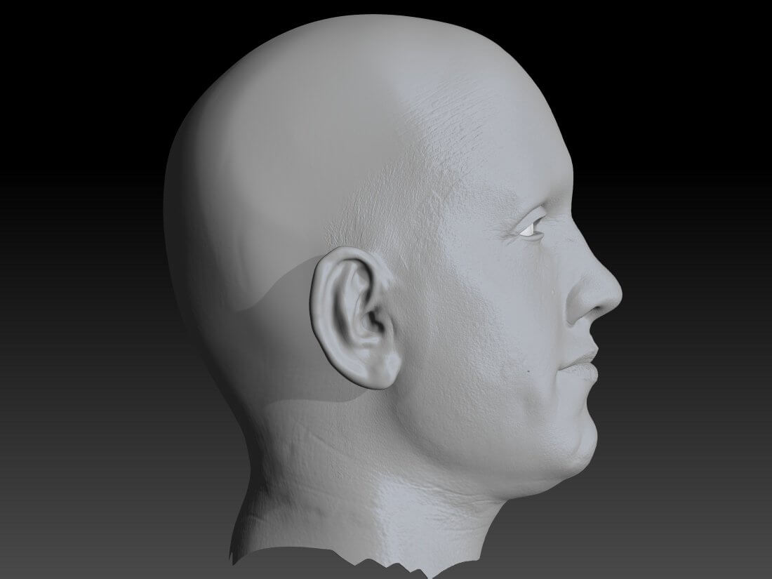 Realistic Male Head - 3D Model by danyelon