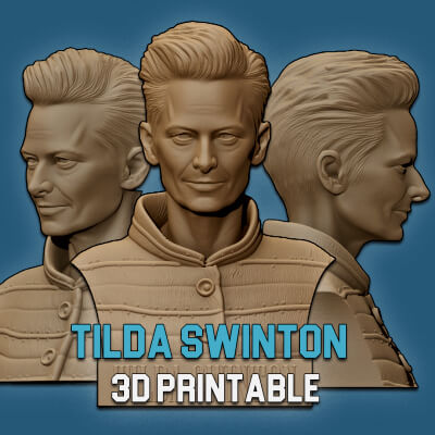 Tilda Swinton 3D Printable Model by danyelon