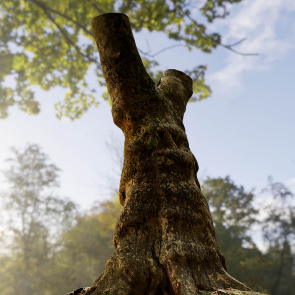 Old Gnarled Birch Tree - 3D Model by Dark_Matter_Art