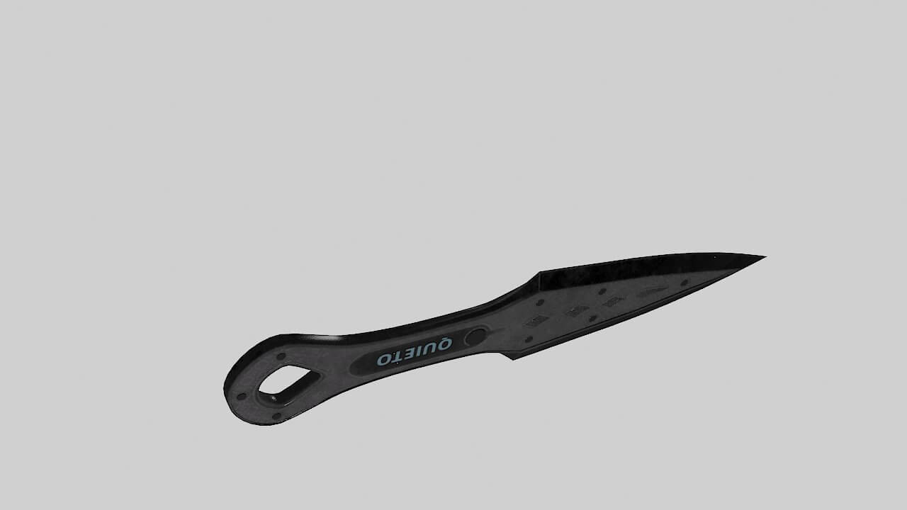 Wraith Heirloom Ninja Knife - 3D Model by davedtaylor