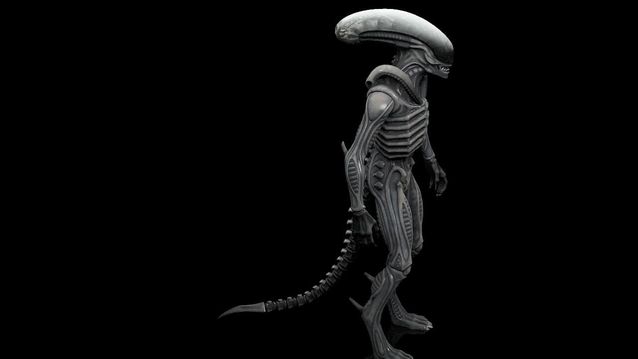 Xenomorph - 3D Model by davedtaylor