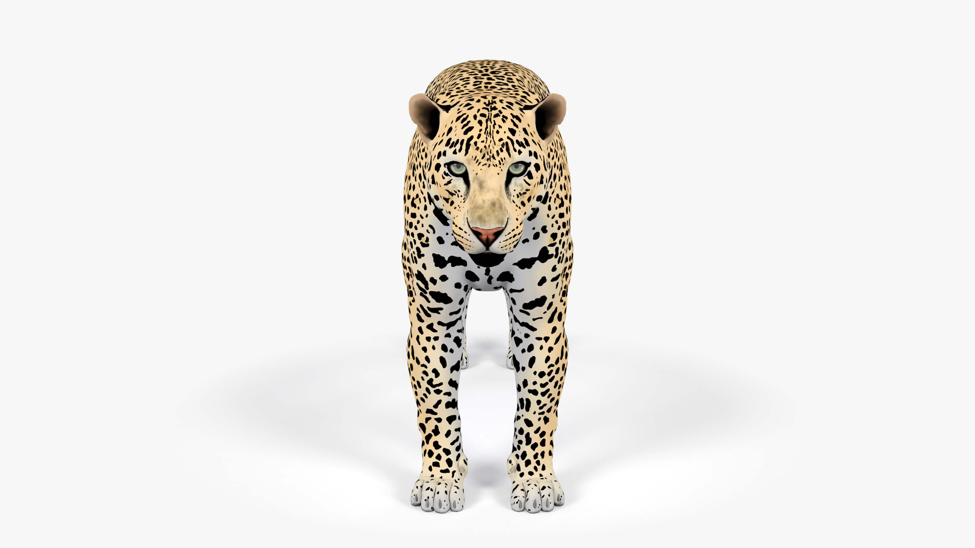 Leopard - 3D Model by daviddanji