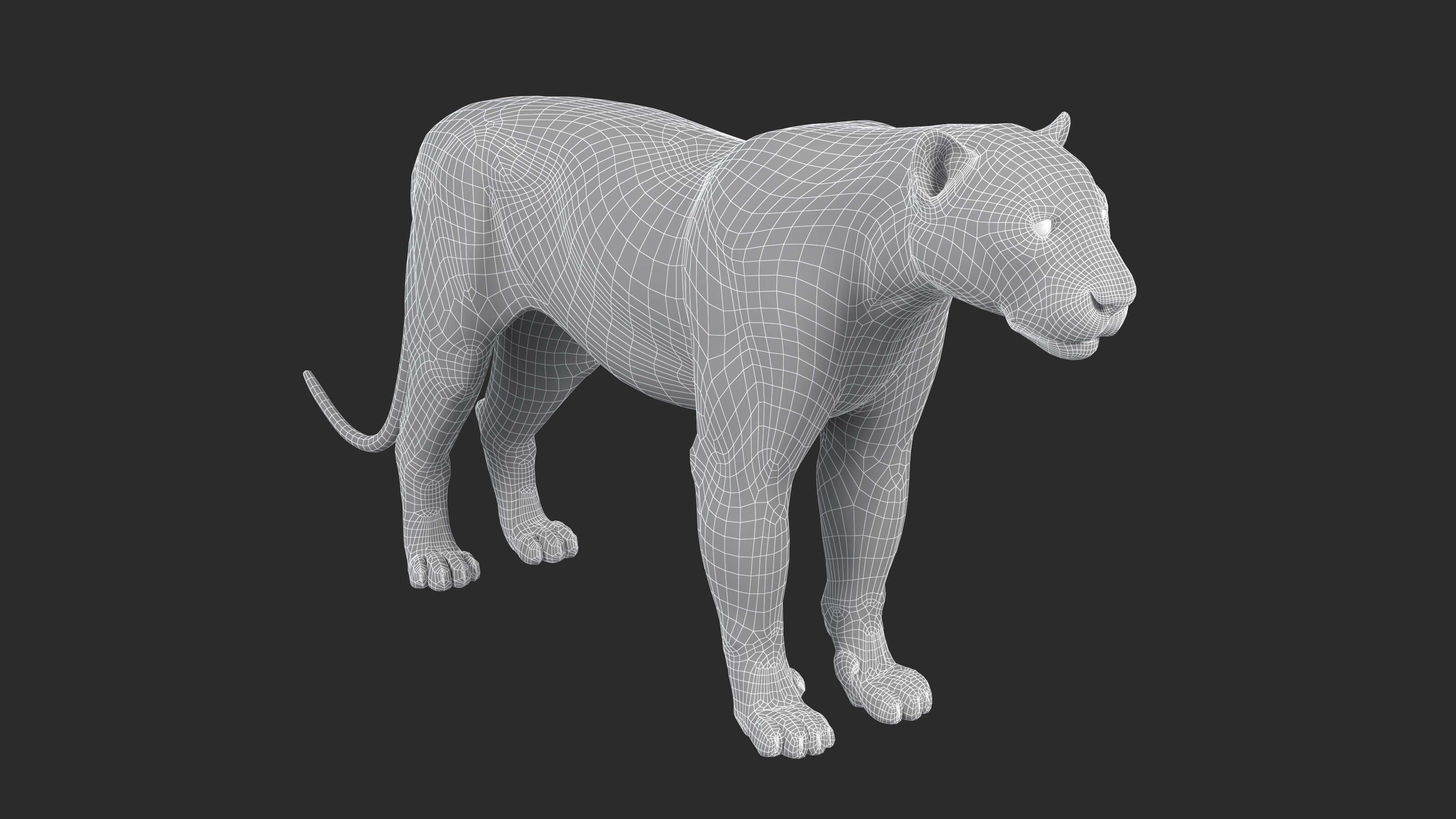 Leopard - 3D Model by daviddanji