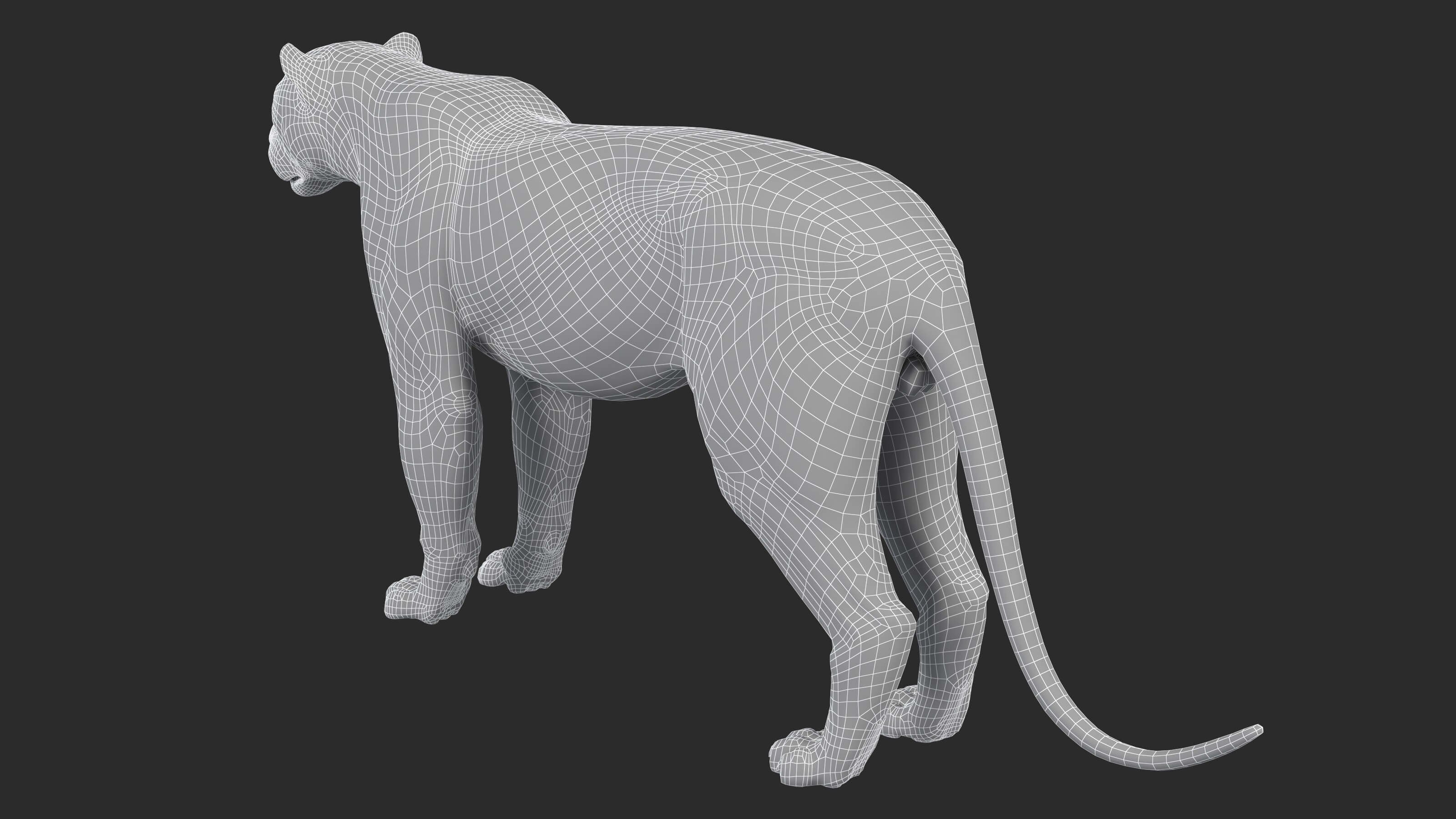 Leopard - 3D Model by daviddanji