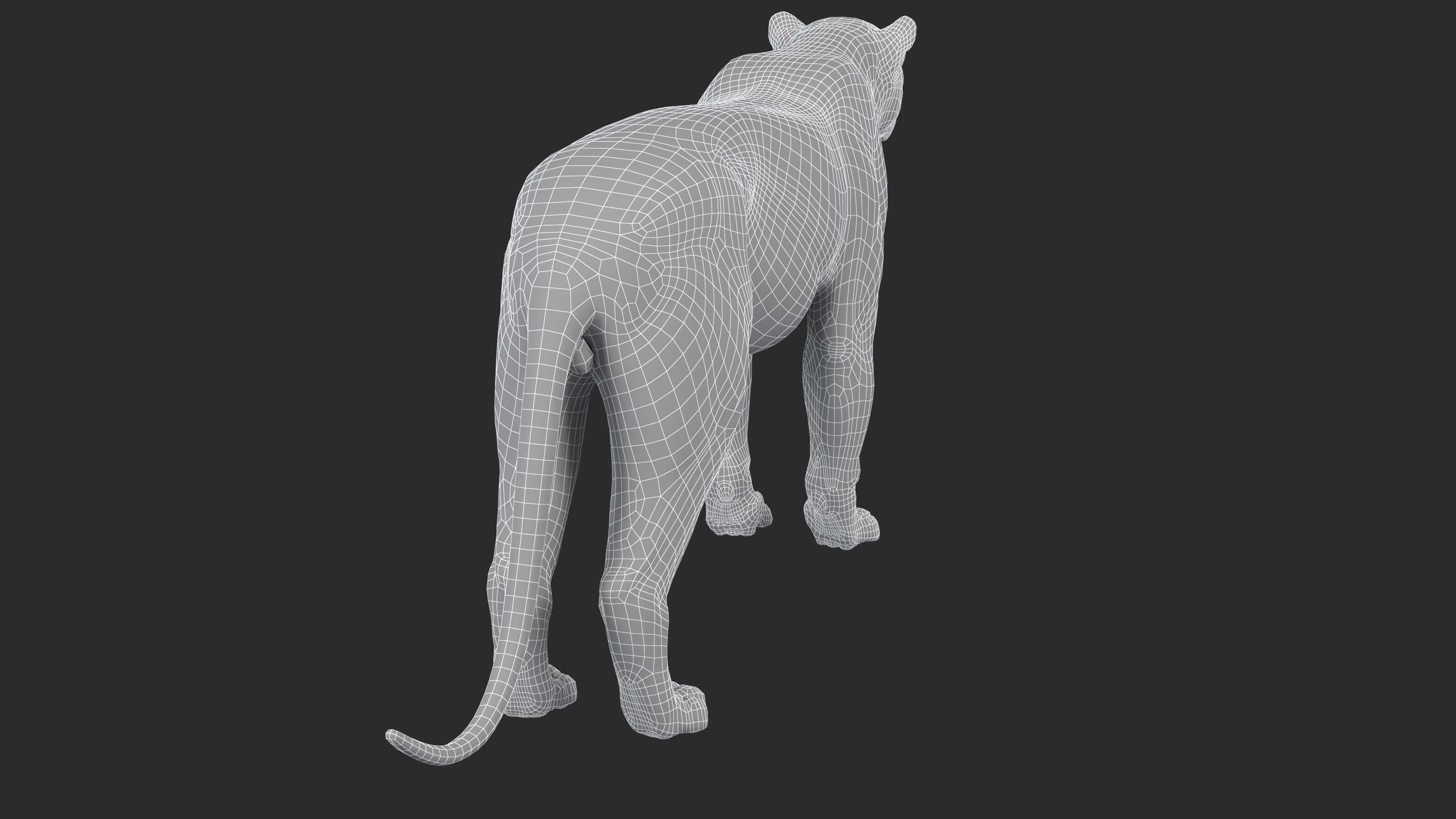 Leopard - 3D Model by daviddanji