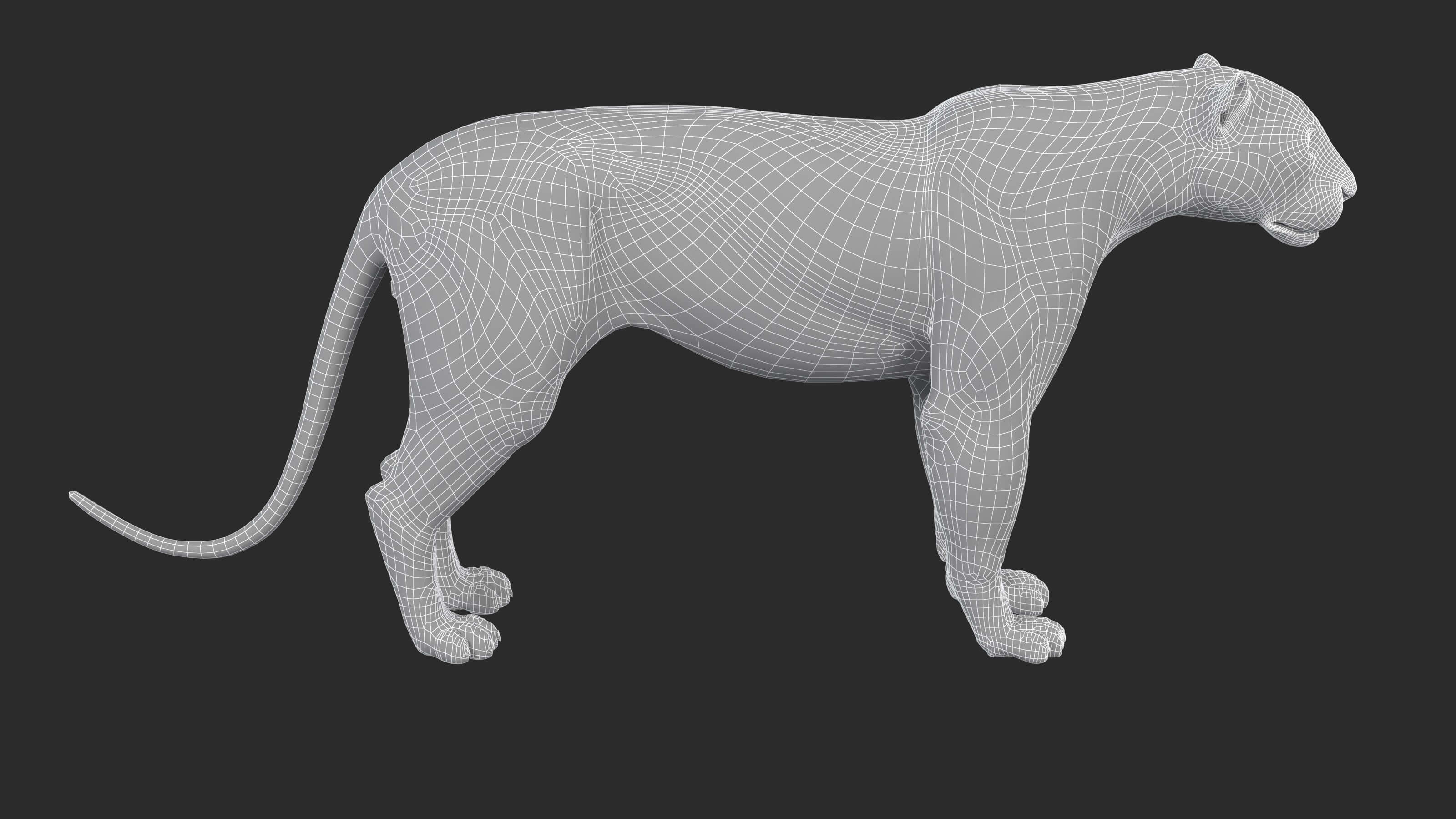 Leopard - 3D Model by daviddanji