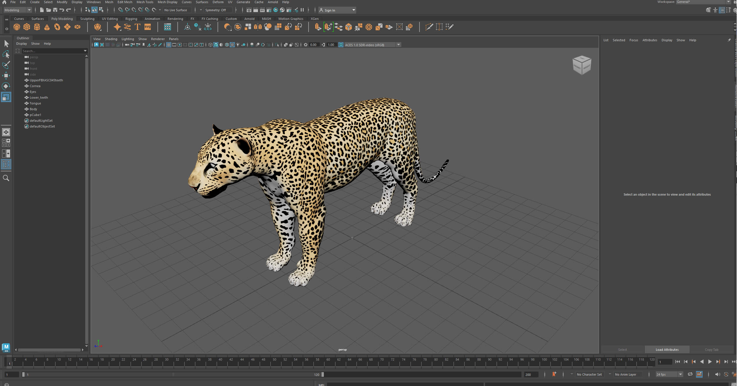 Leopard - 3D Model by daviddanji