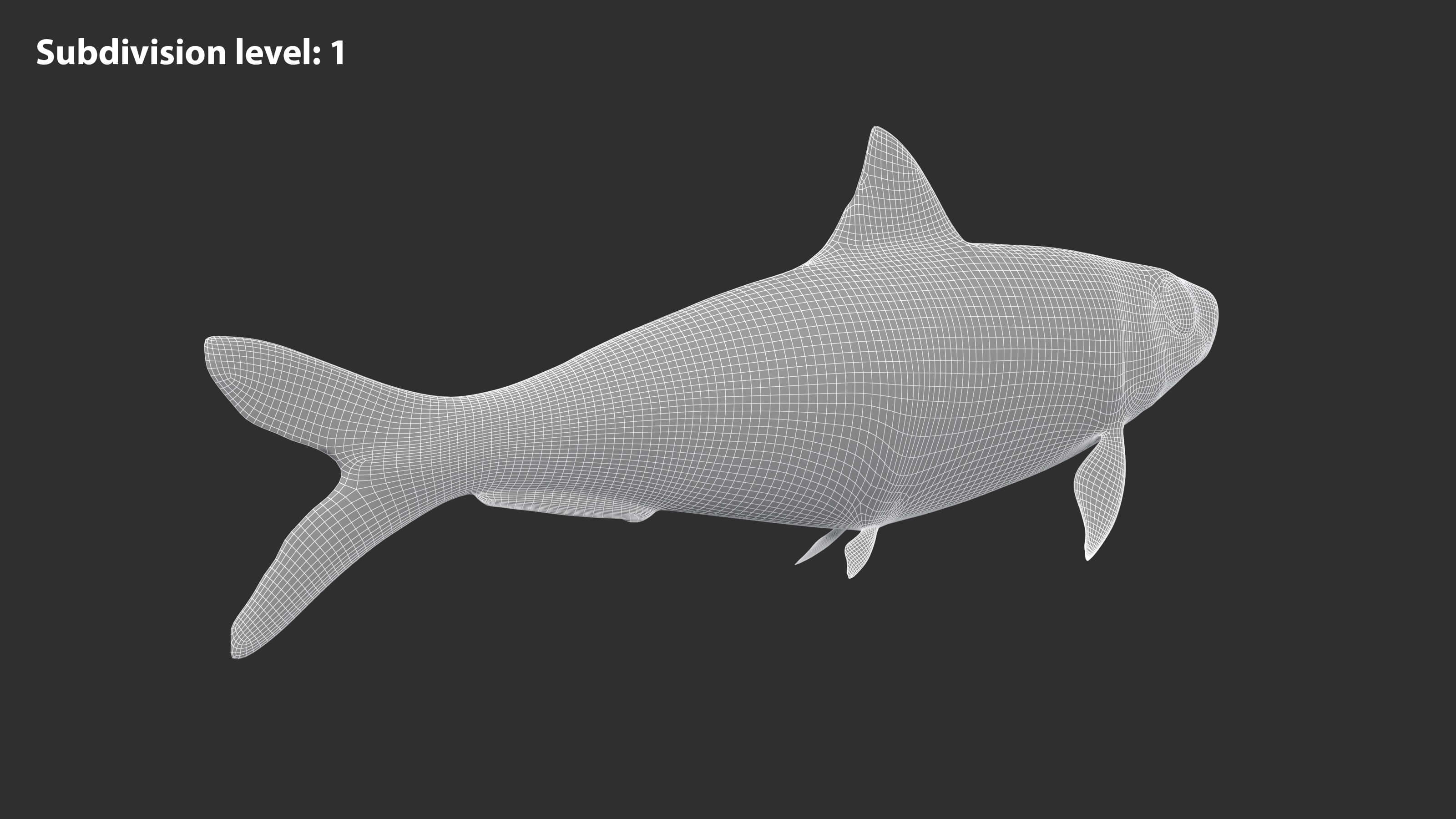 Sardine Fish - 3D Model by daviddanji