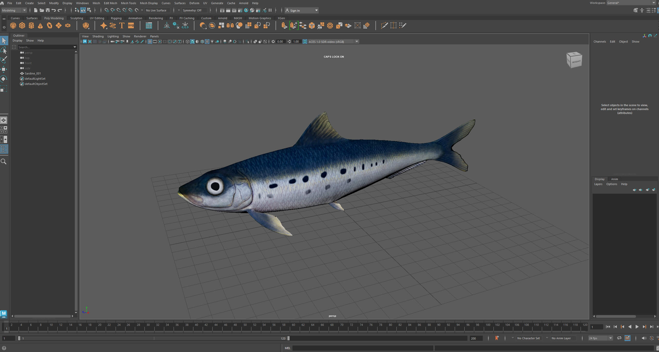 Sardine Fish - 3D Model by daviddanji