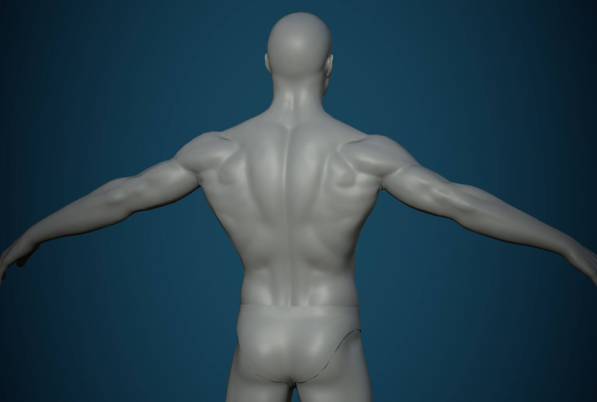 Base Mesh Male Body - Collection 1 3D Model by Davlet