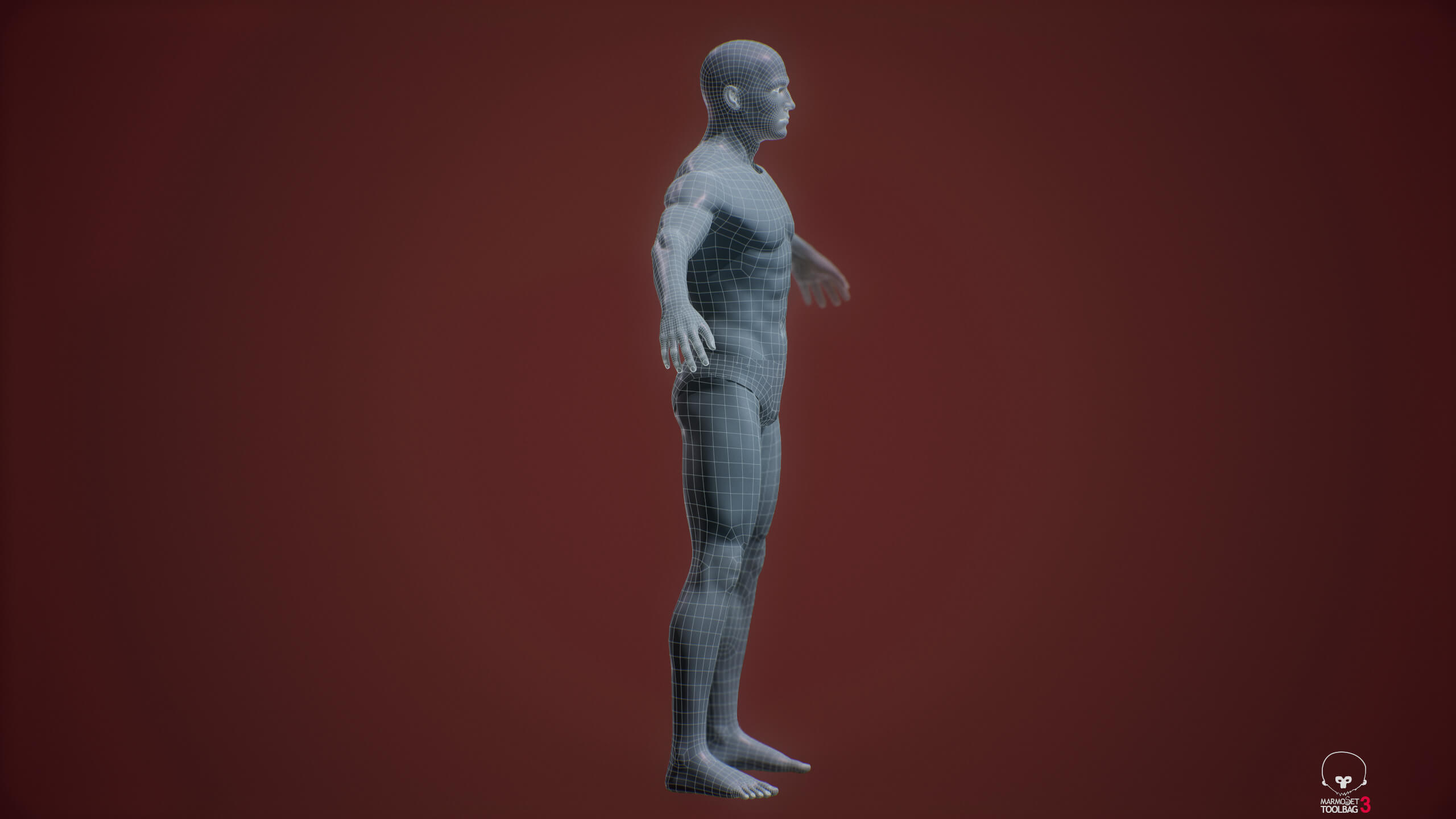 Base Mesh Male Body - Collection 1 3D Model by Davlet