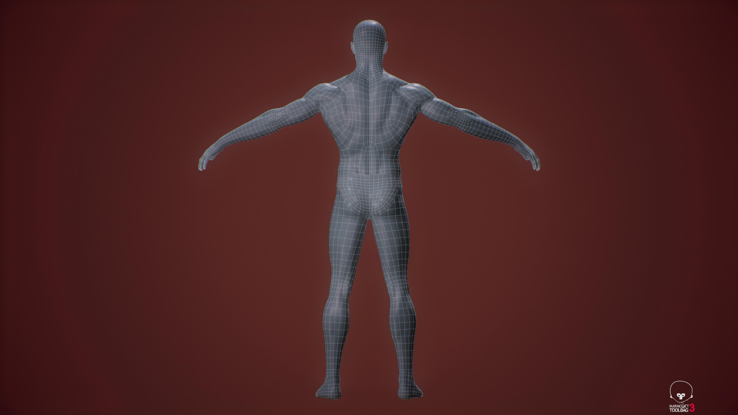 Base Mesh Male Body - Collection 1 3D Model by Davlet