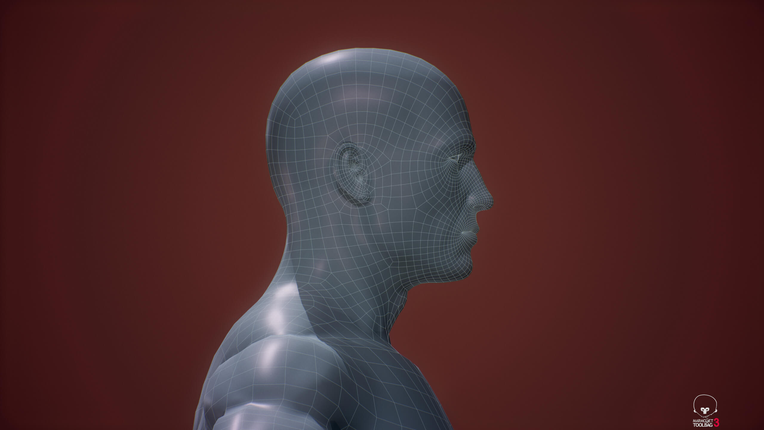 Base Mesh Male Body - Collection 1 3D Model by Davlet