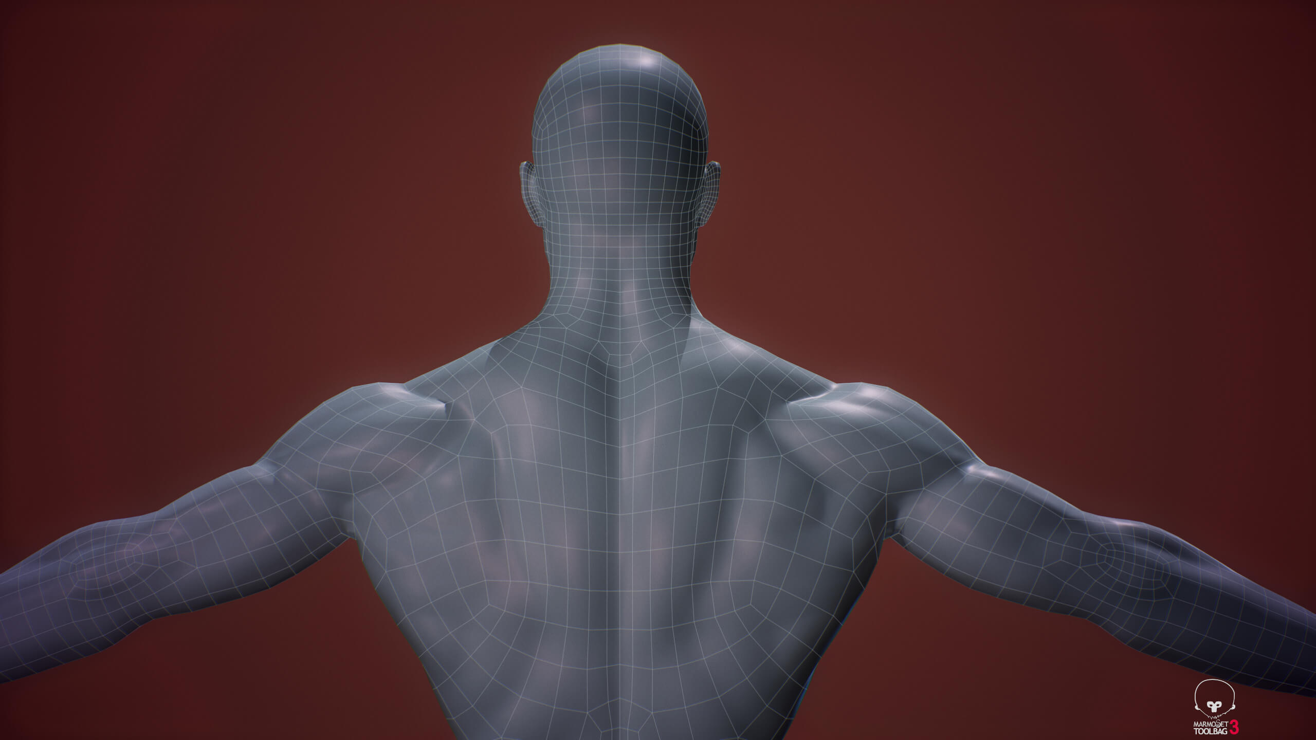 Base Mesh Male Body - Collection 1 3D Model by Davlet