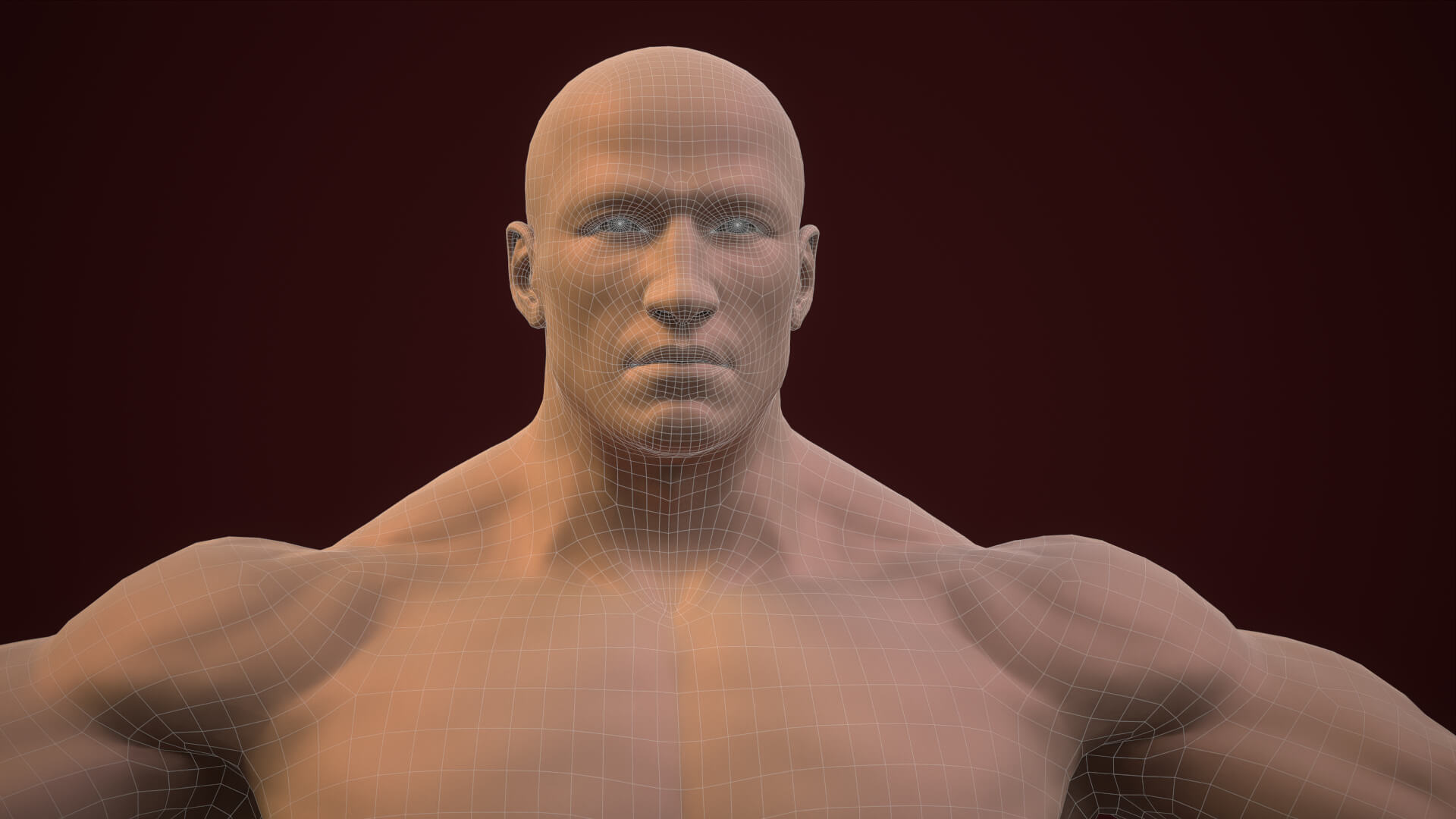 Base Mesh Male Body - Collection 1 3D Model by Davlet