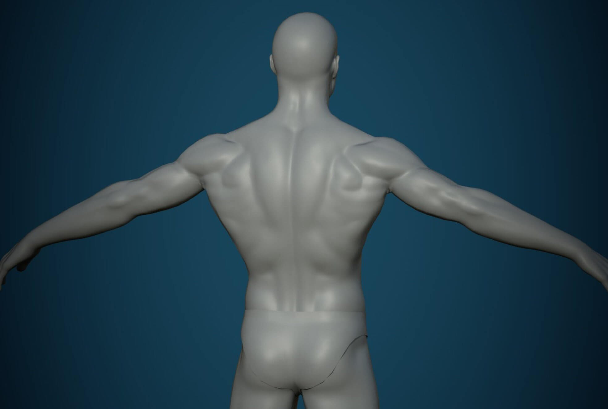 Base Mesh Male Body - 3D Model by Davlet