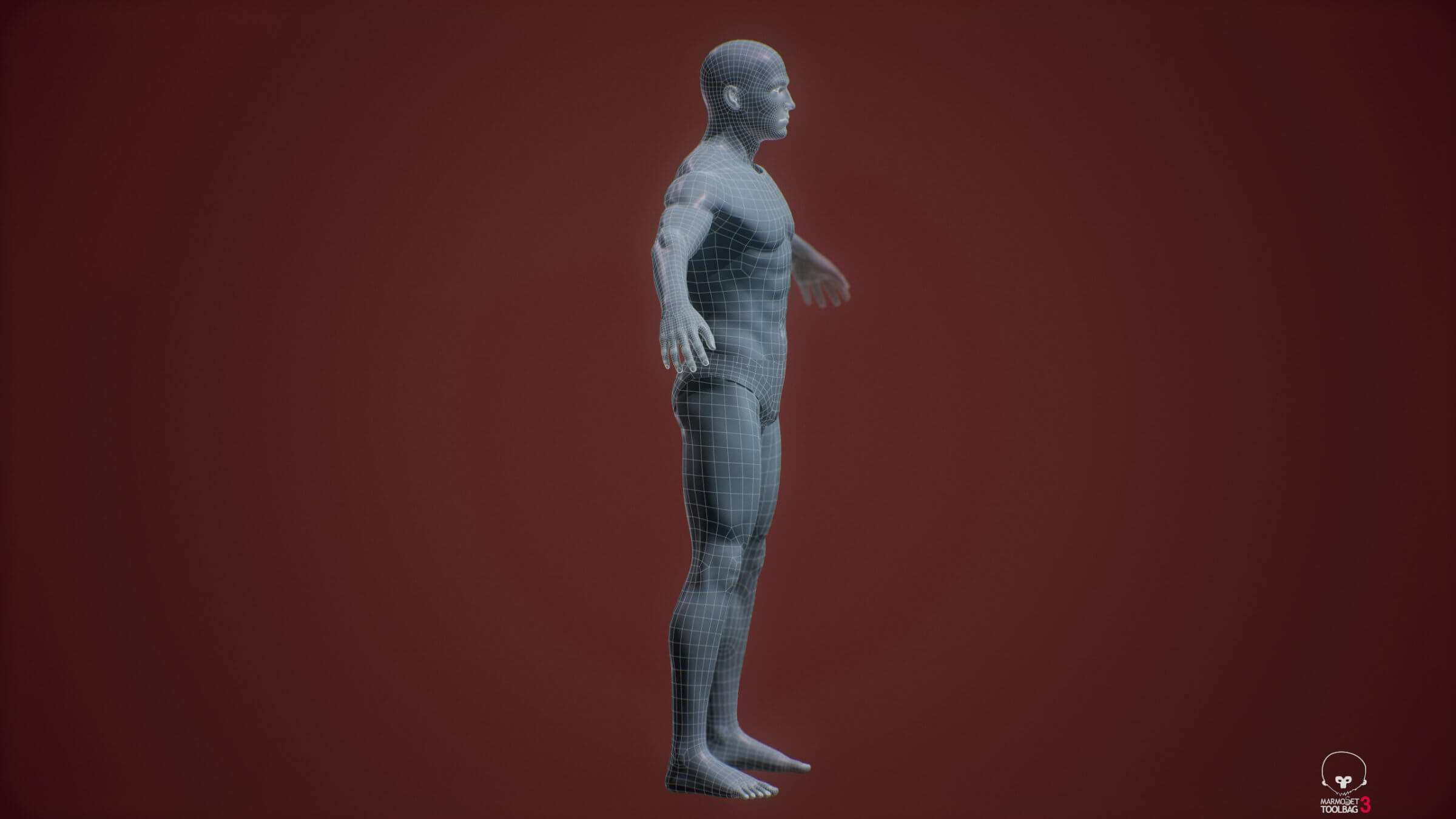 Base Mesh Male Body - 3D Model by Davlet
