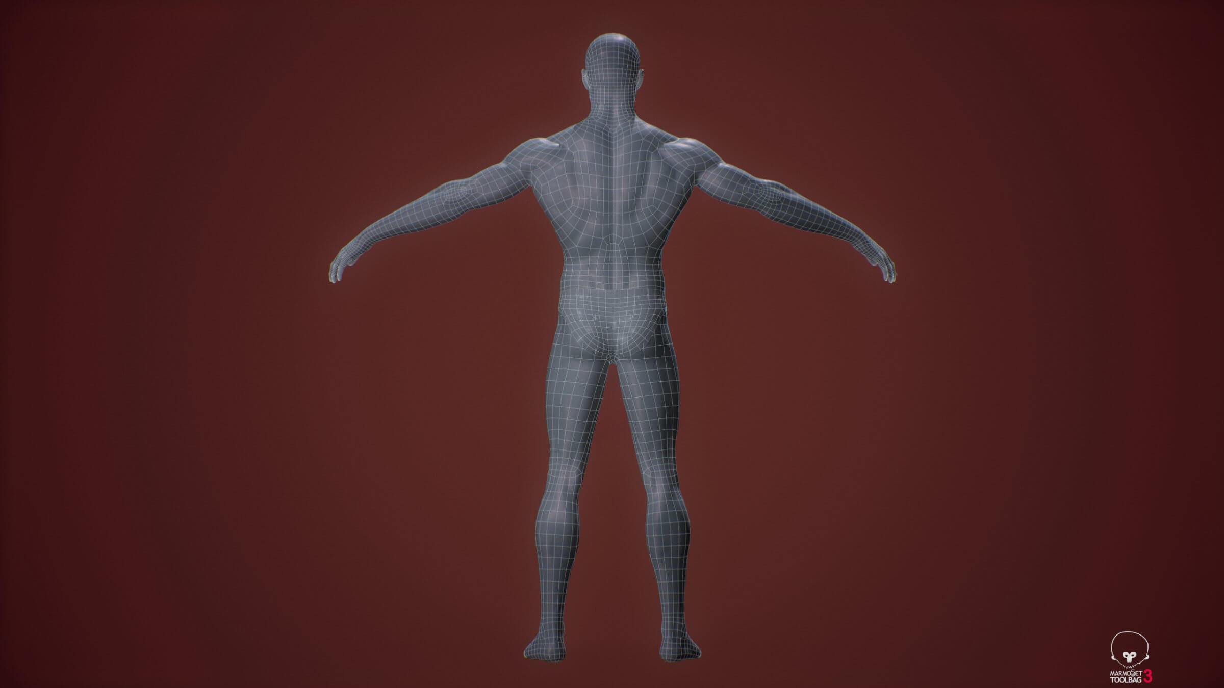 Base Mesh Male Body - 3D Model by Davlet