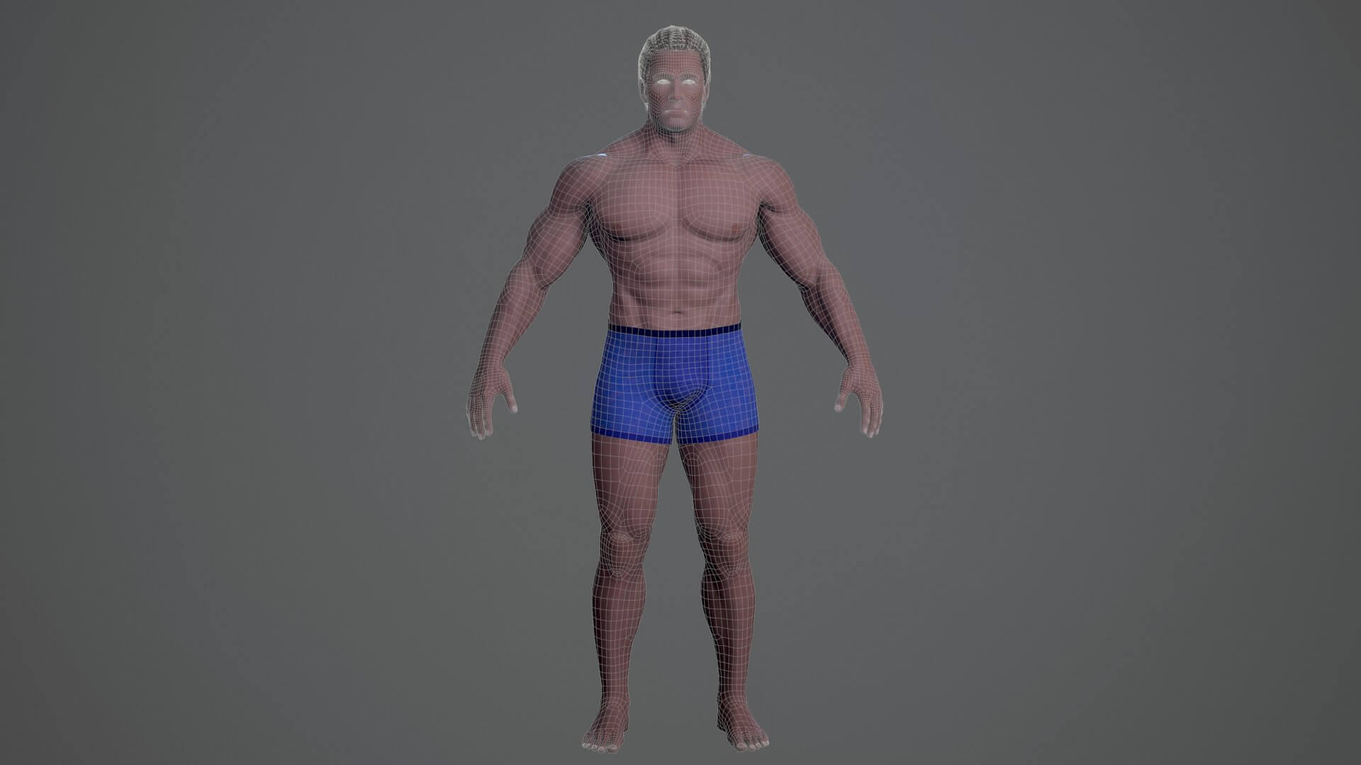Bodybuilder 01 - 3D Model by Davlet