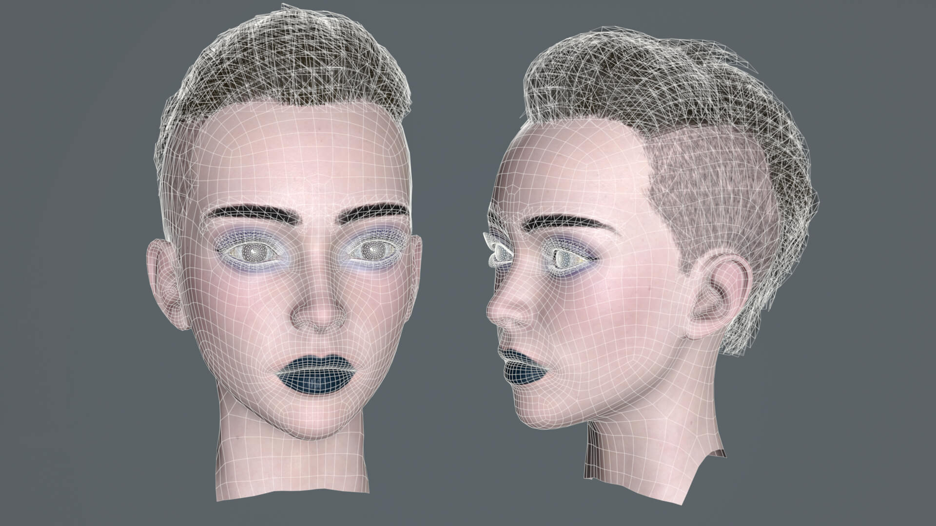 Female Head and Hair 03 - 3D Model by Davlet
