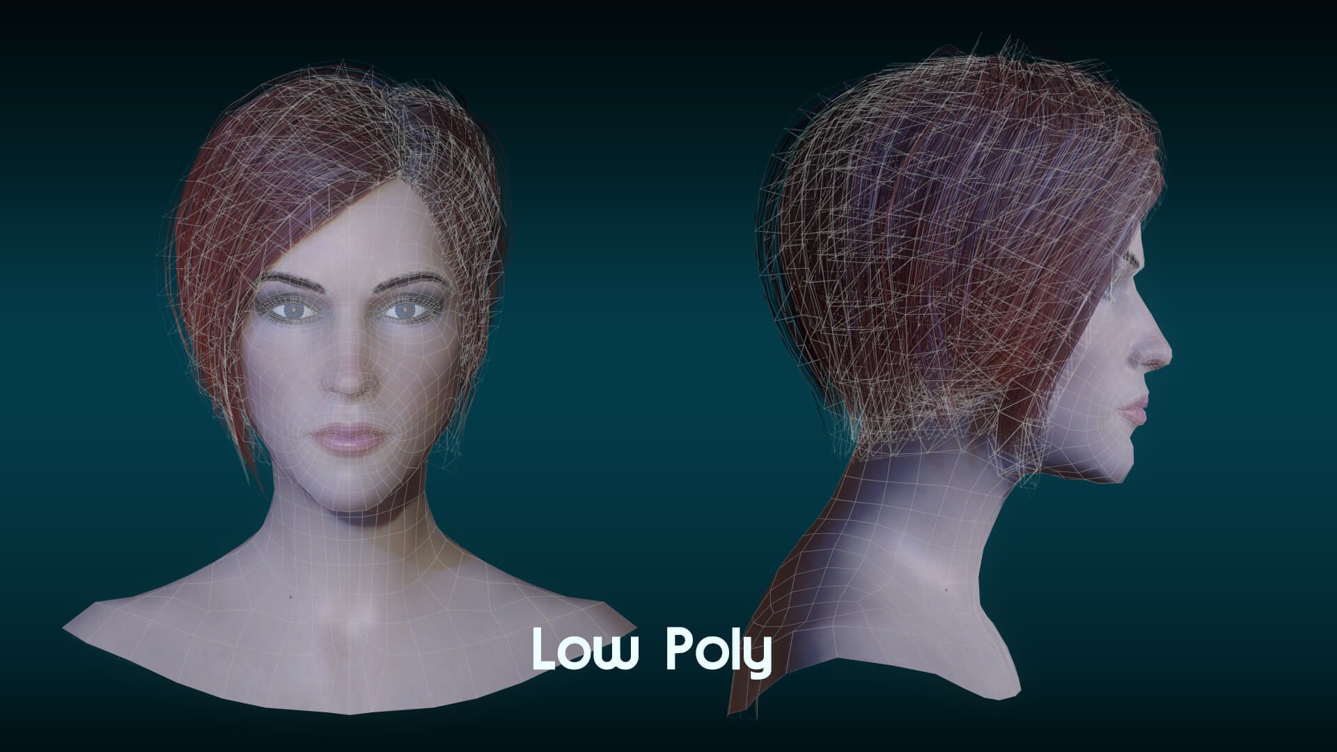 Female Head - Update 01 3D Model by Davlet