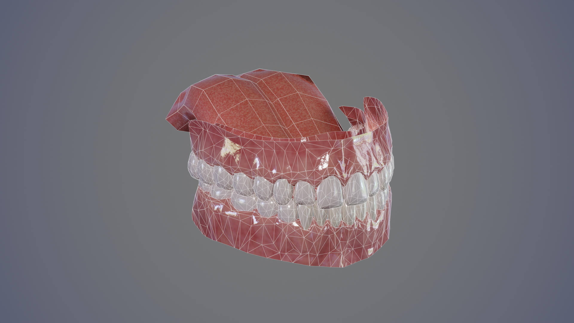 Female Head and Hair 01 - 3D Model by Davlet