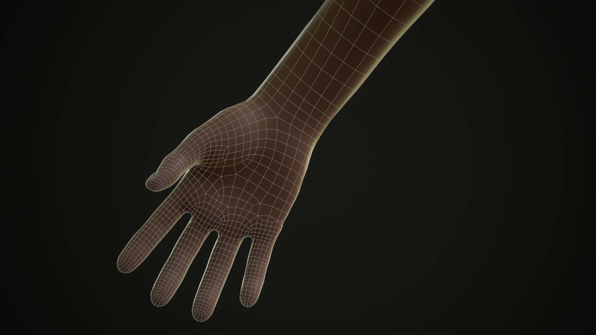 First Person Arms - 3D Model by Davlet