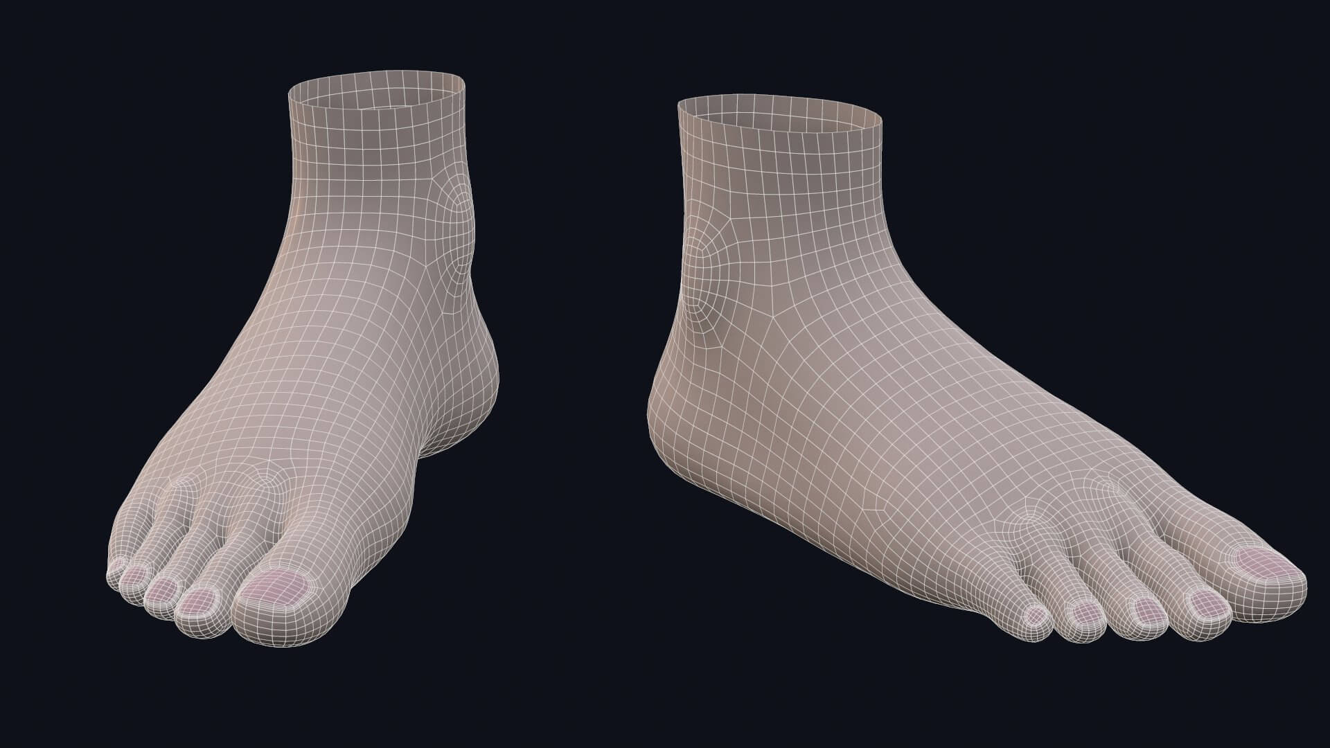 Character Feet - 3D Model by Davlet