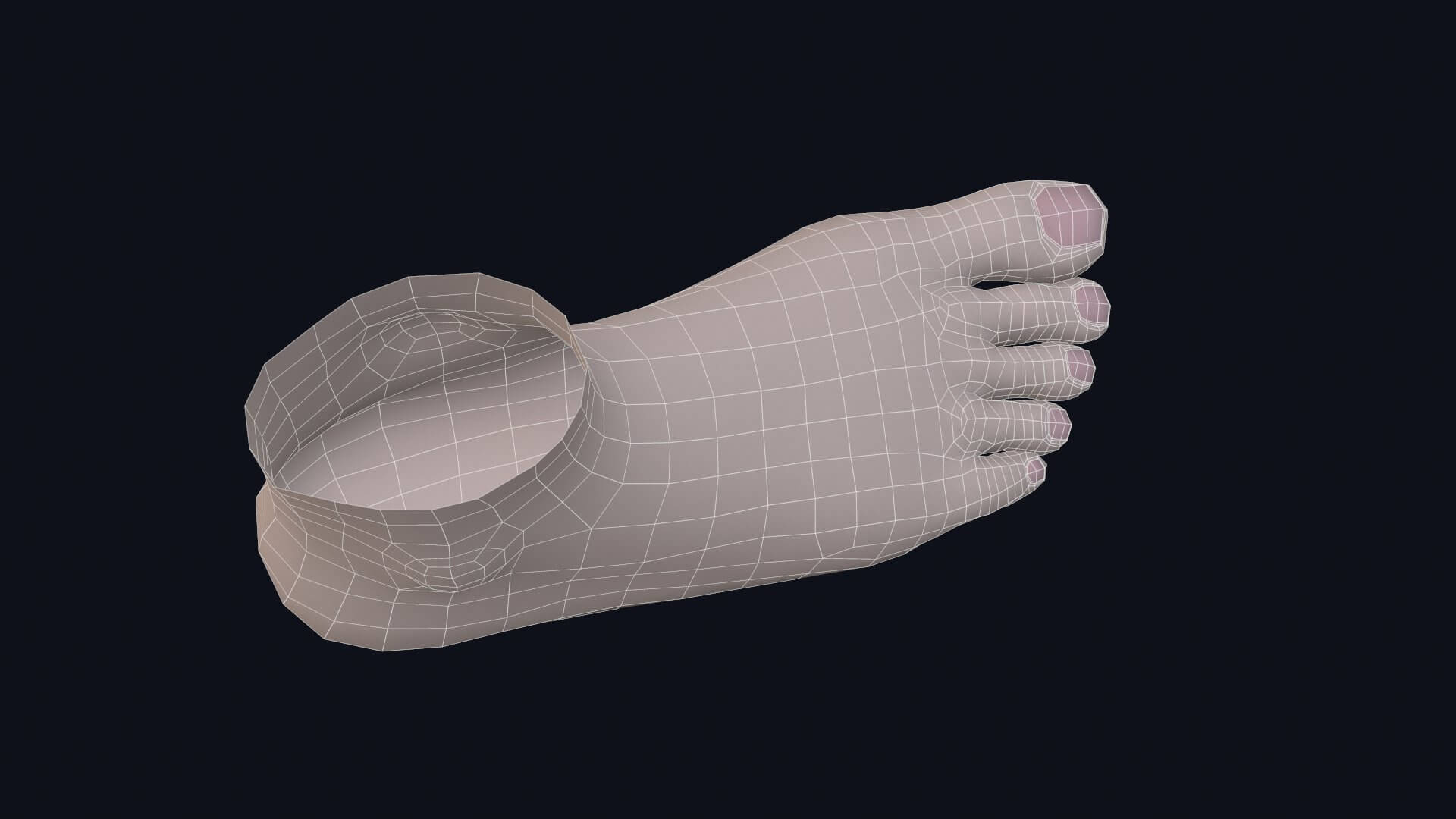 Character Feet - 3D Model by Davlet