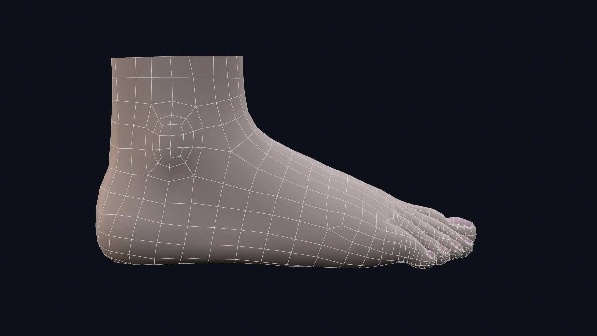 Character Feet - 3D Model by Davlet