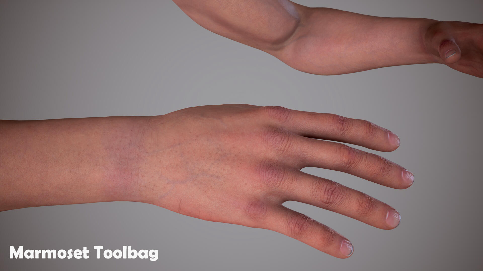 FPS Arms 01 Rigged - 3D Model by Davlet