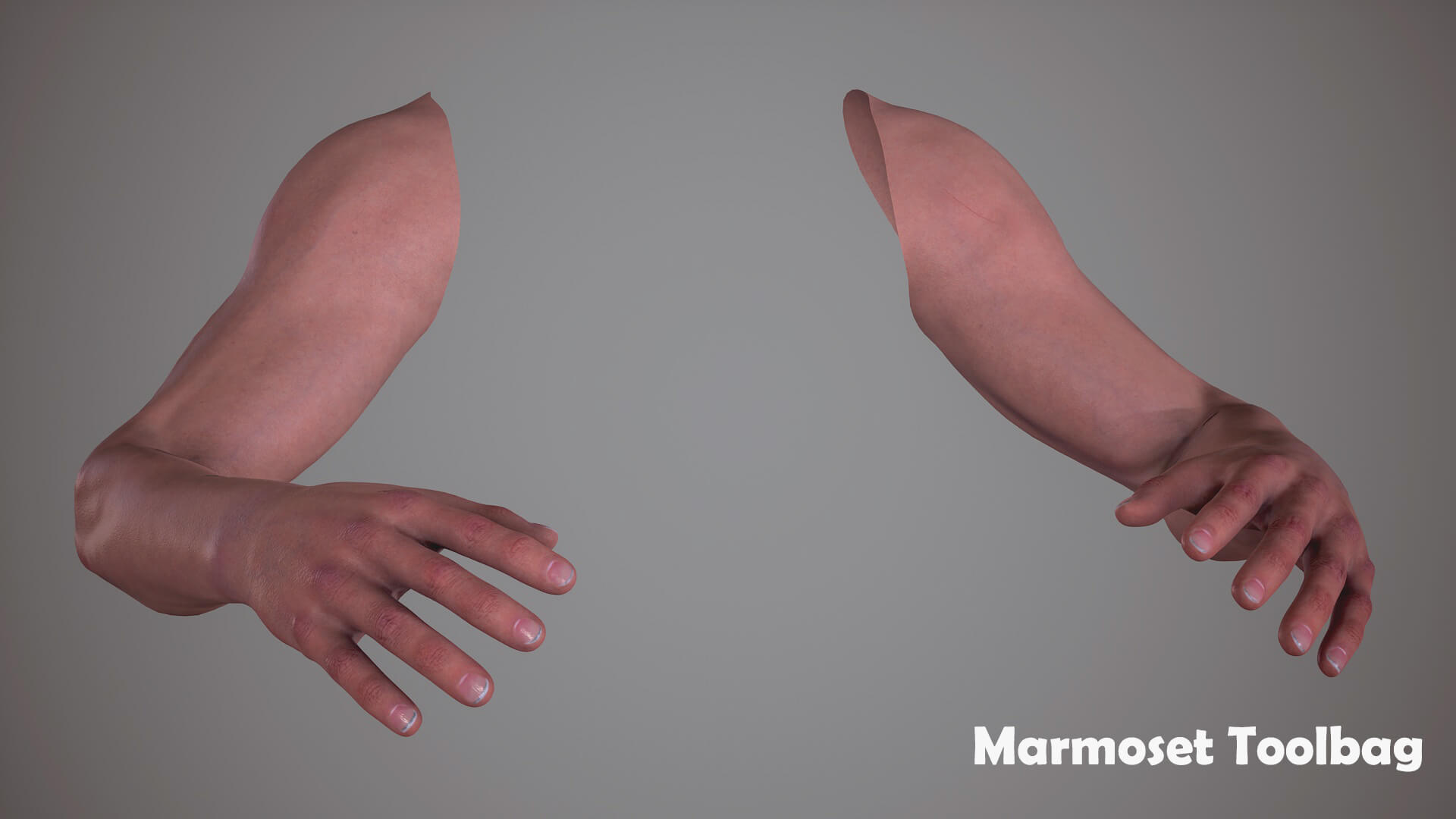 FPS Arms 01 Rigged - 3D Model by Davlet