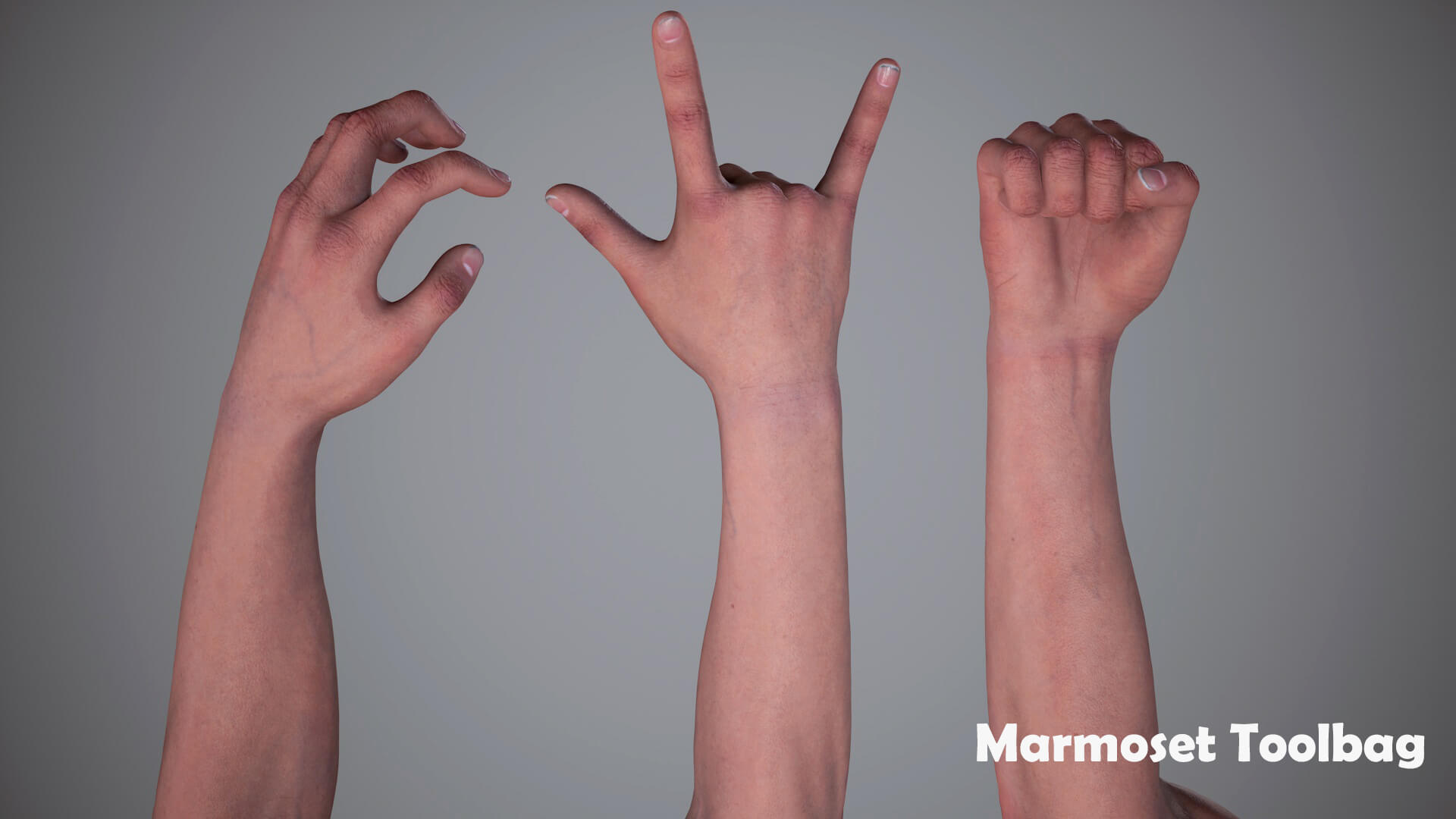 FPS Arms 01 Rigged - 3D Model by Davlet