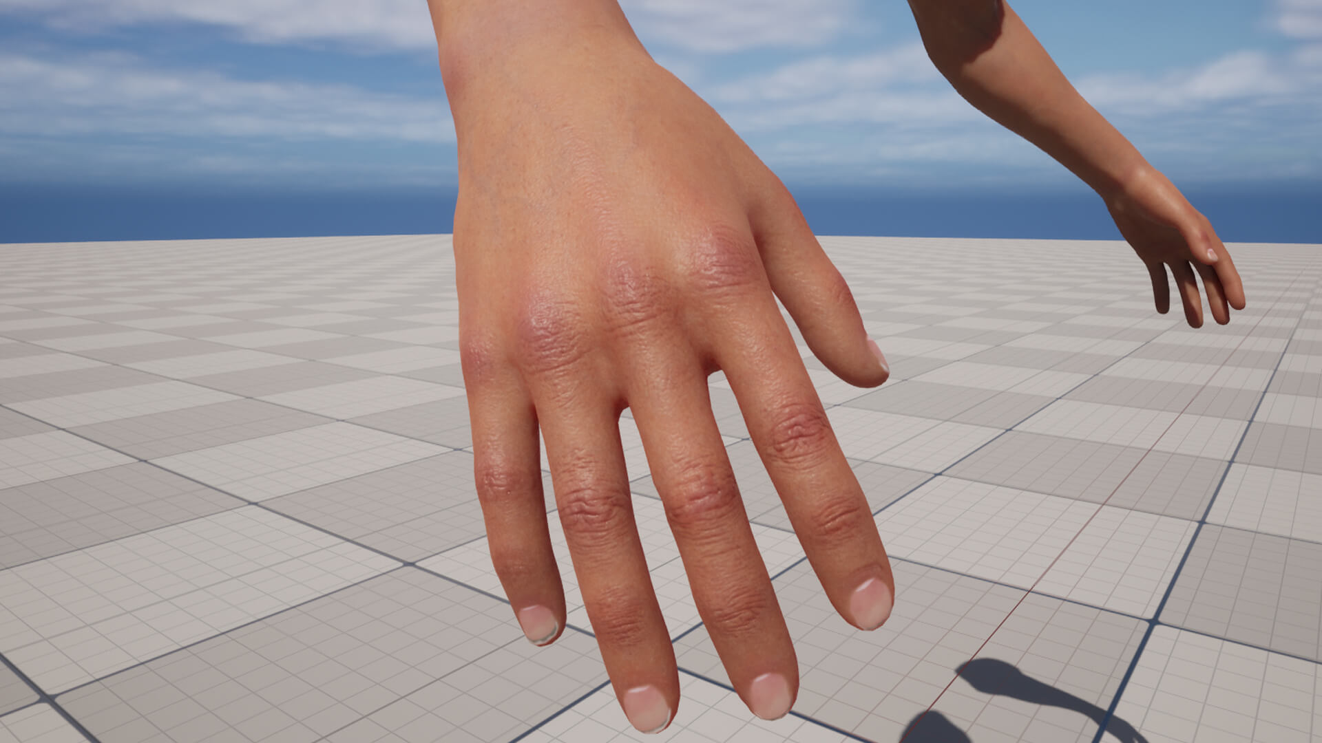 FPS Arms 01 Rigged - 3D Model by Davlet