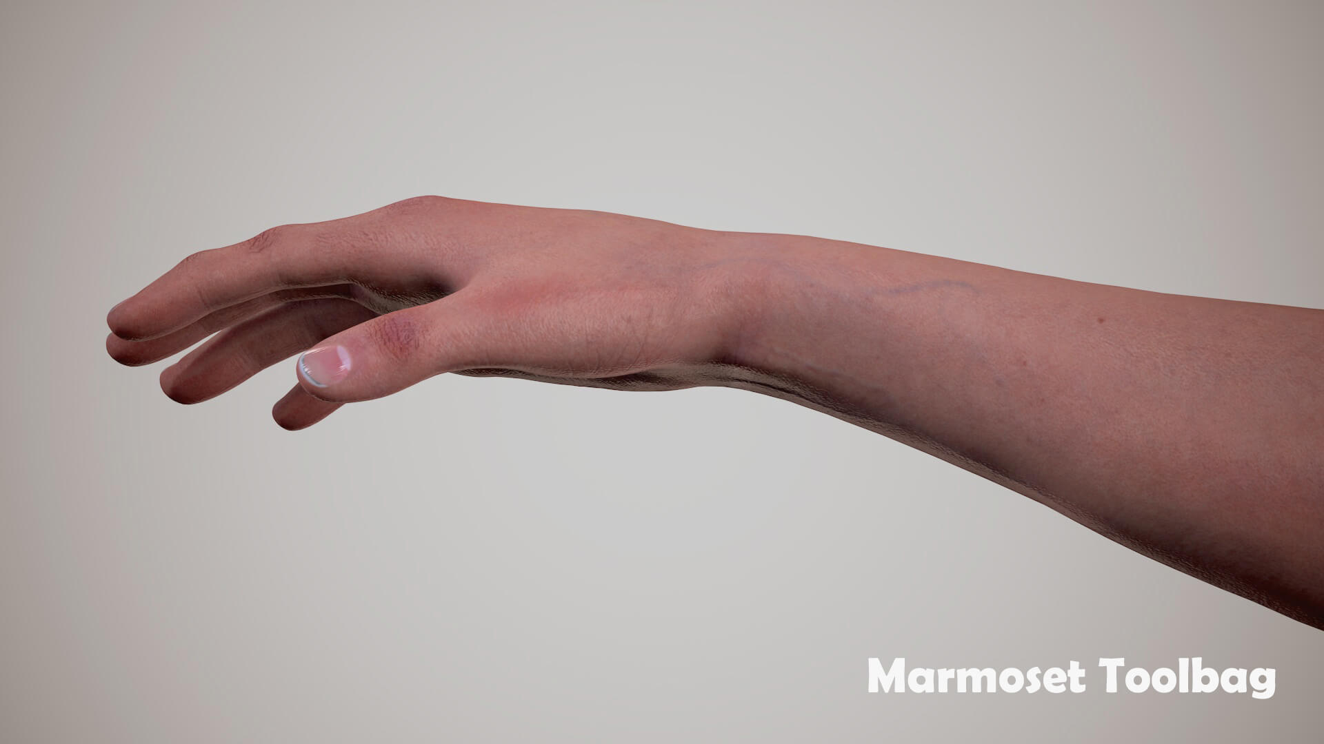 FPS Arms 01 Rigged - 3D Model by Davlet